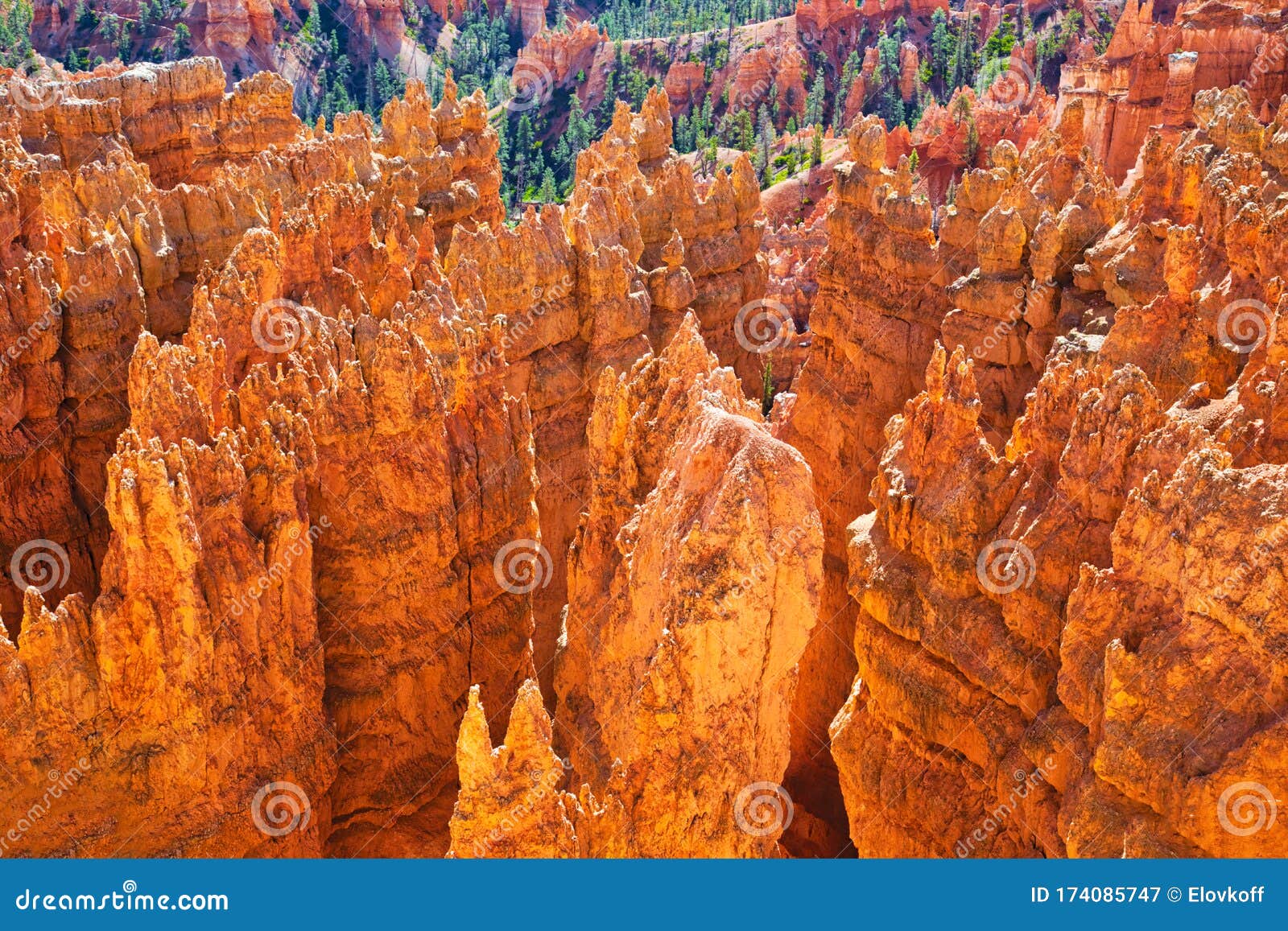Bryce National Park in Utah, USA Stock Image - Image of park, point ...