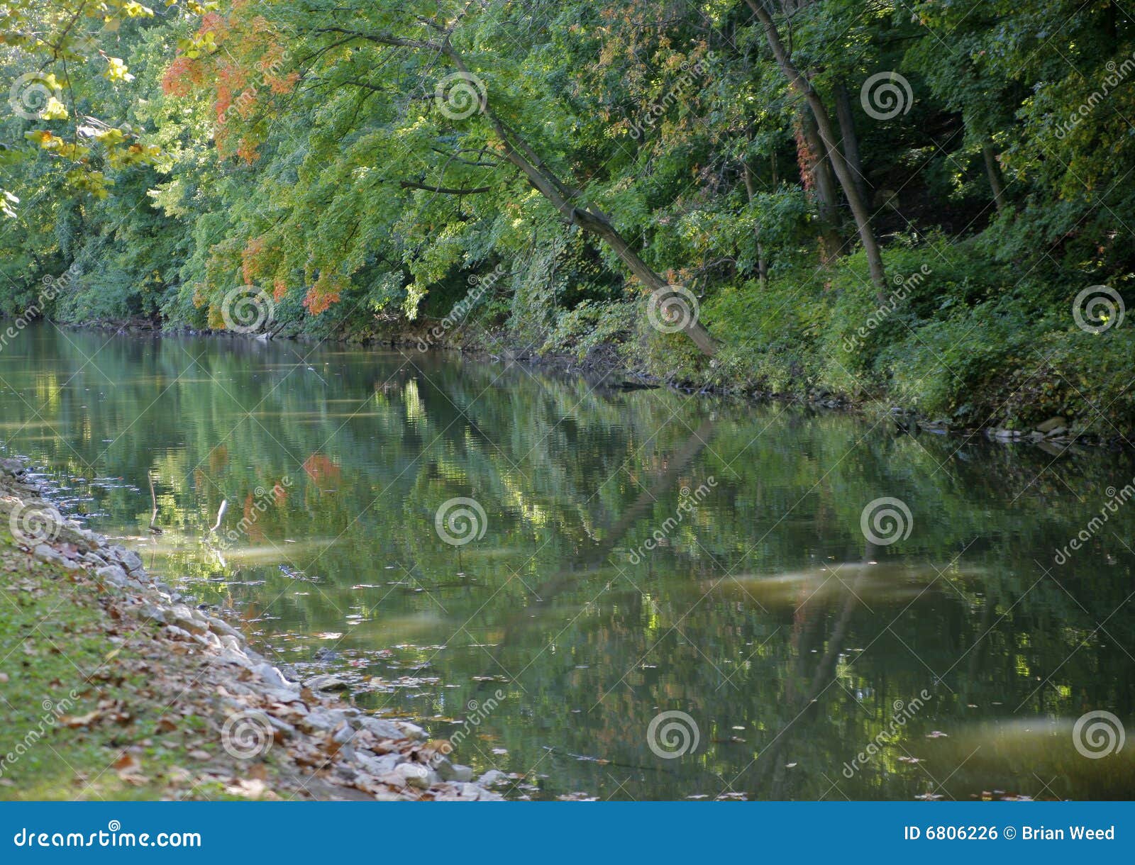 Brzeg rzeki zdjęcie stock. Obraz złożonej z spadek, natura - 6806226
