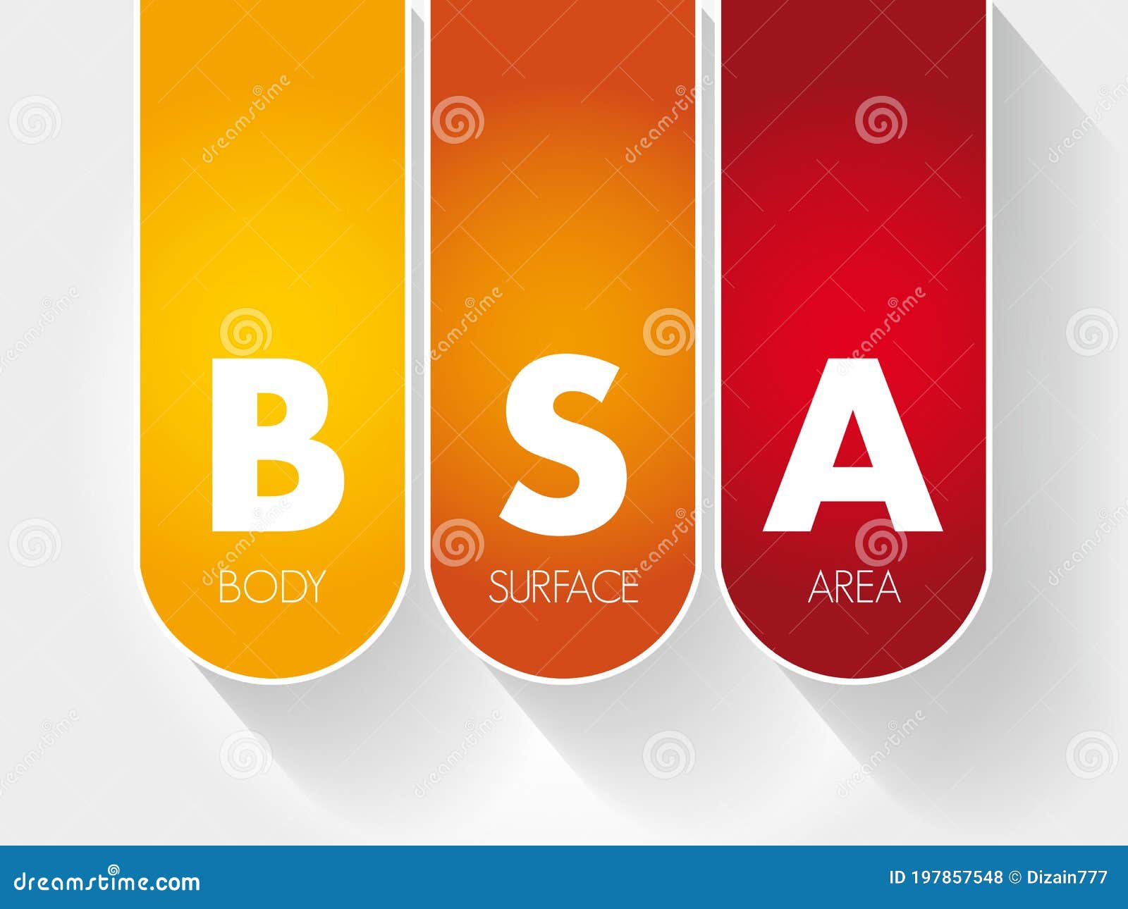 BSA - Body Surface Area Acronym Stock Illustration - Illustration of ...