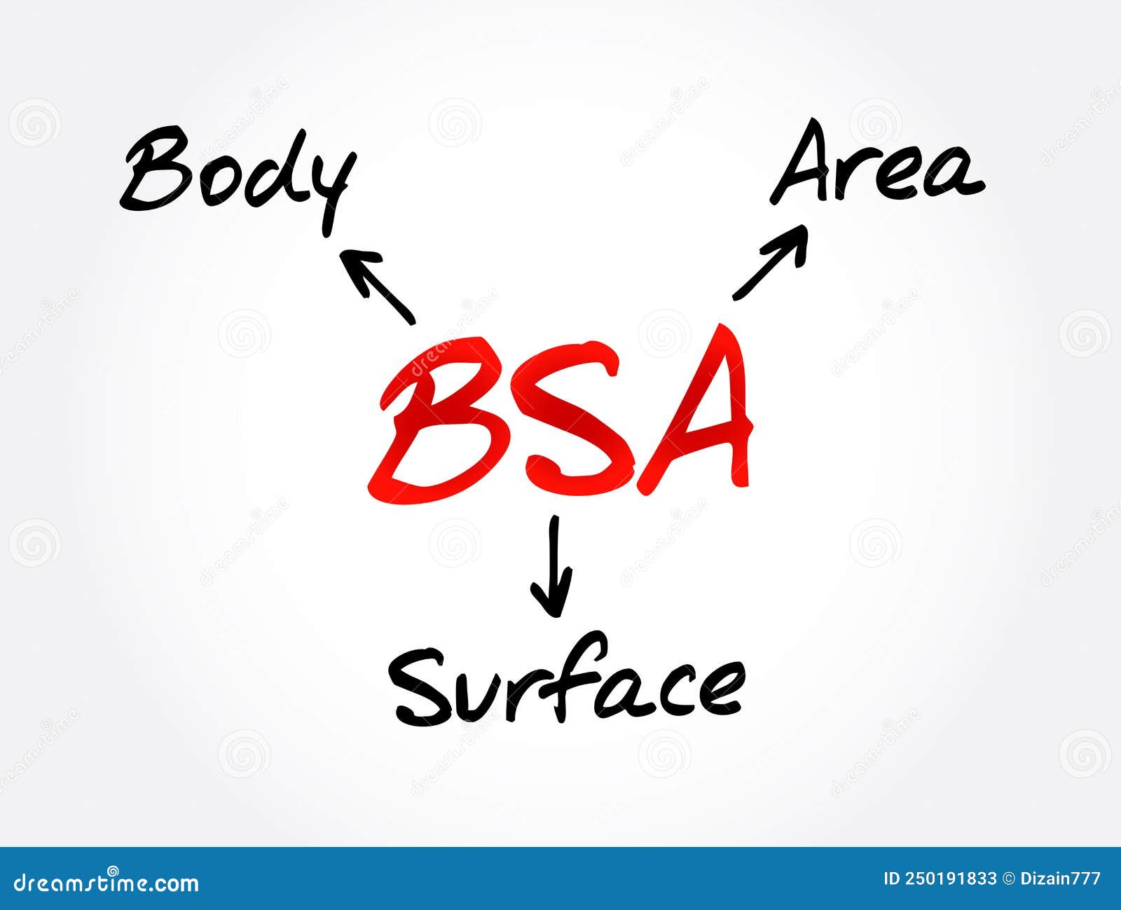BSA - Body Surface Area Acronym, Concept Background Royalty-Free Stock ...
