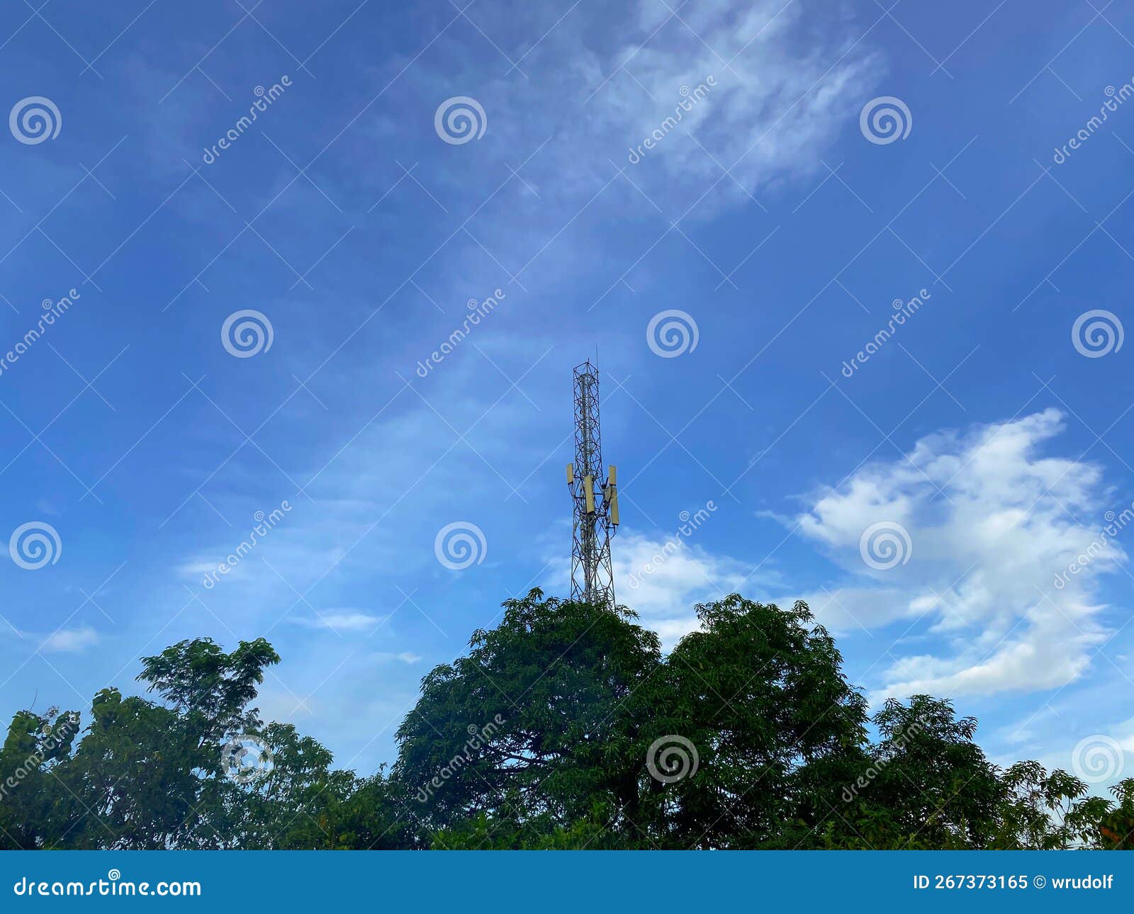 The Bts or Telecommunications Tower is in the Middle of the Trees with ...