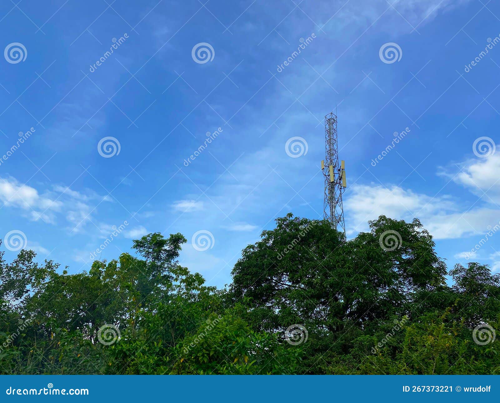The Bts or Telecommunications Tower is in the Middle of the Trees with ...