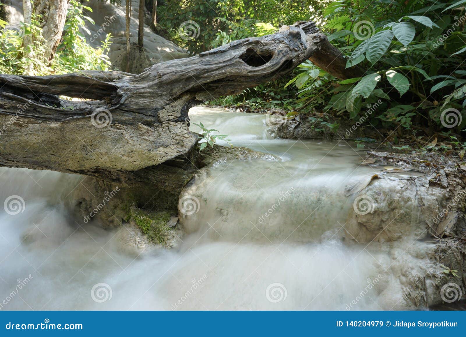 Bua Tong waterfall stock image. Image of thailand, sticky - 140204979