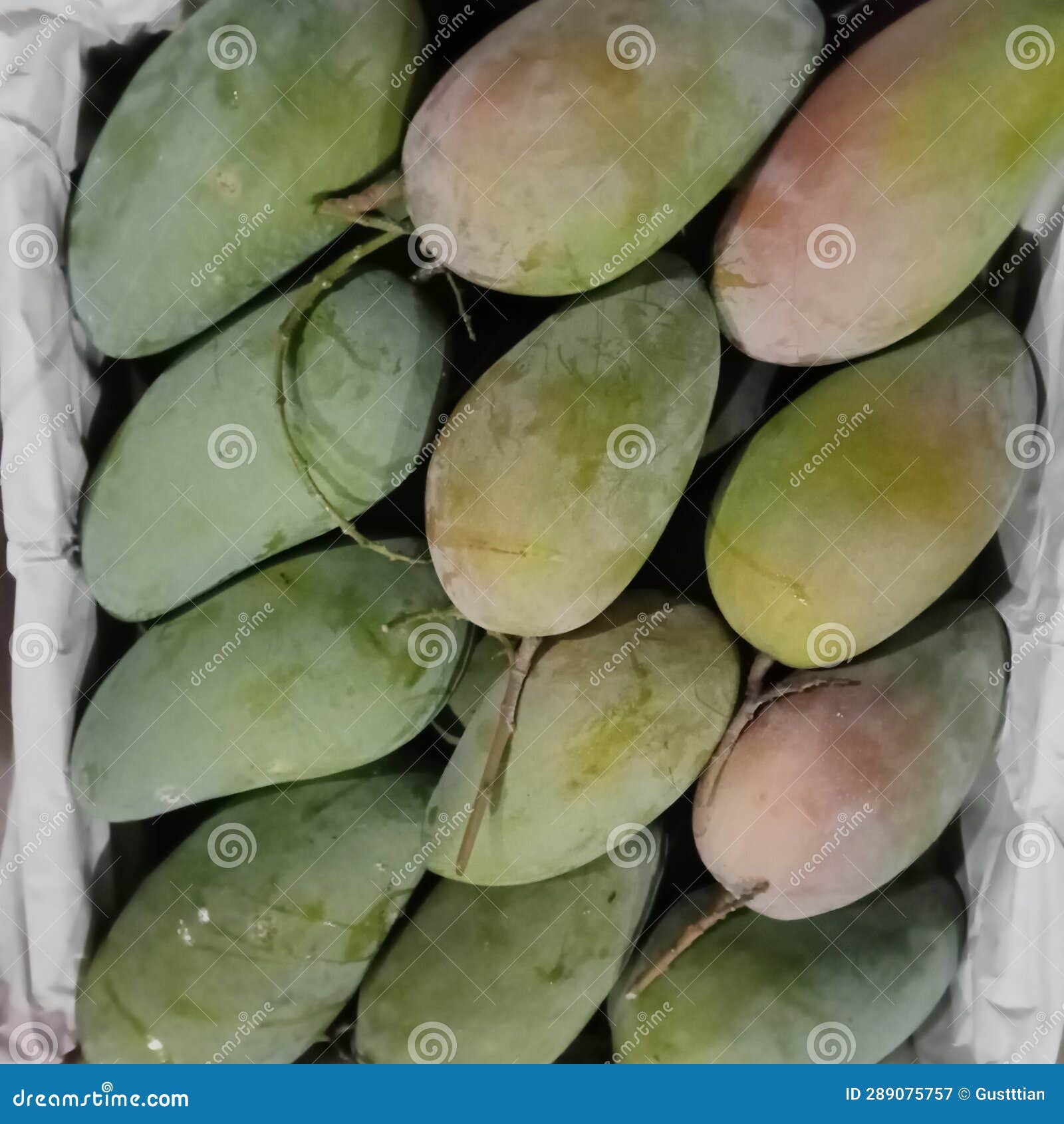 Beautiful Fresh Fruit Kiojay Mangoes Ready To Be Sent To Consumers ...
