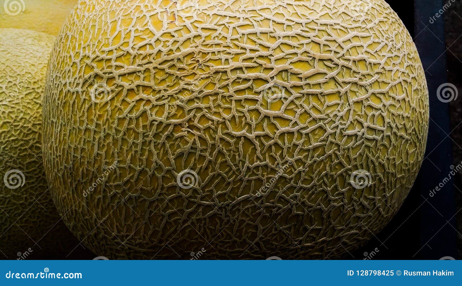 Skin texture buah melon stock image. Image of flora - 128798425