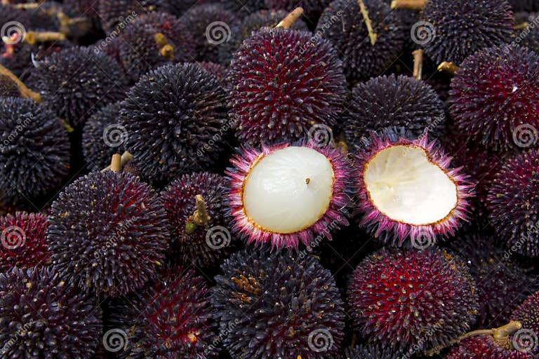 Buah Pulasan Fruit stock photo. Image of thailand, flesh - 16141456