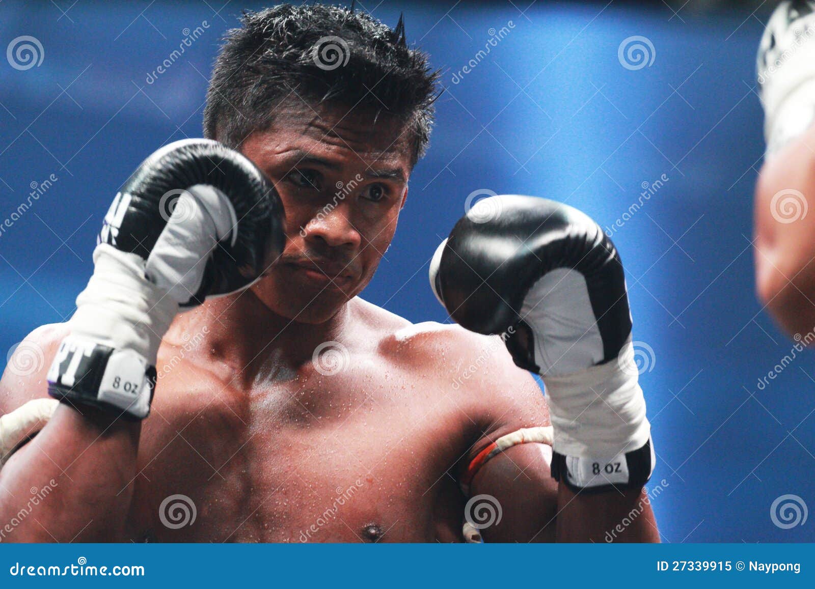 Buakaw Por.Pramuk editorial image. Image of fighter, combat - 27339915
