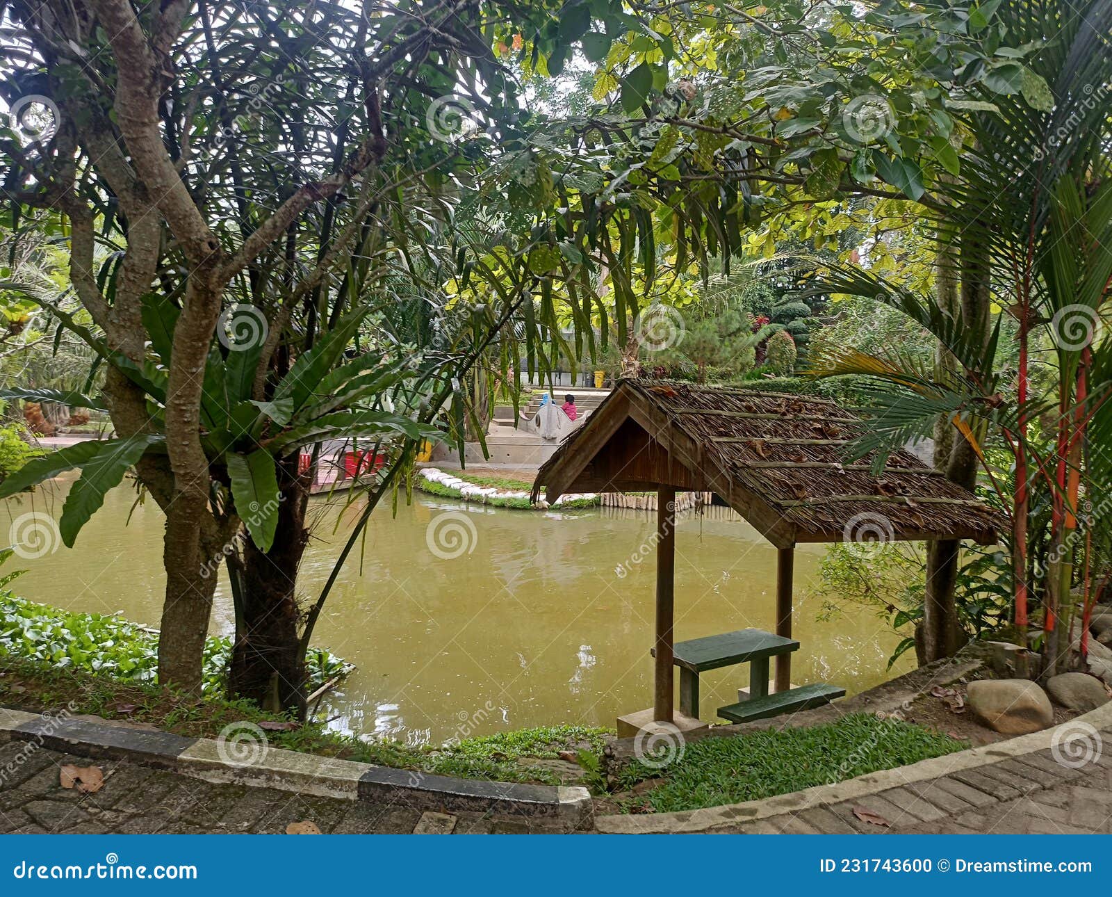Buangaloo Side of the River Under the Trees Stock Photo - Image of home ...