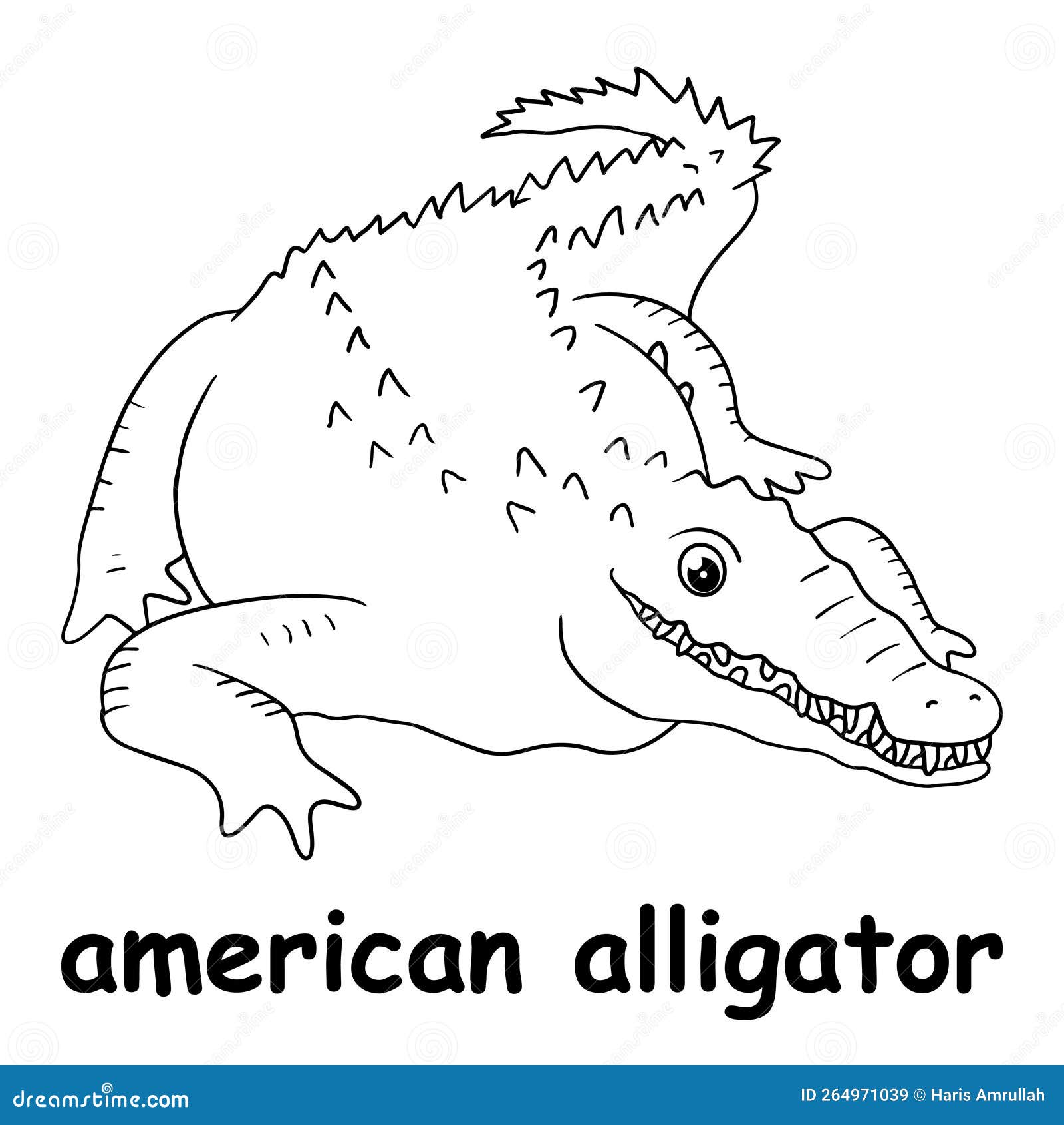 Kids Line Illustration Coloring American Alligator. Outline Vector for ...