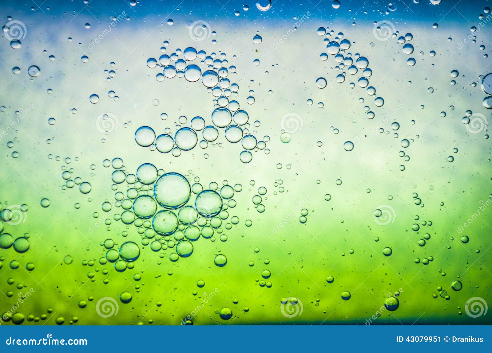 Bubble Backgrounds Stock Photo | CartoonDealer.com #17053560