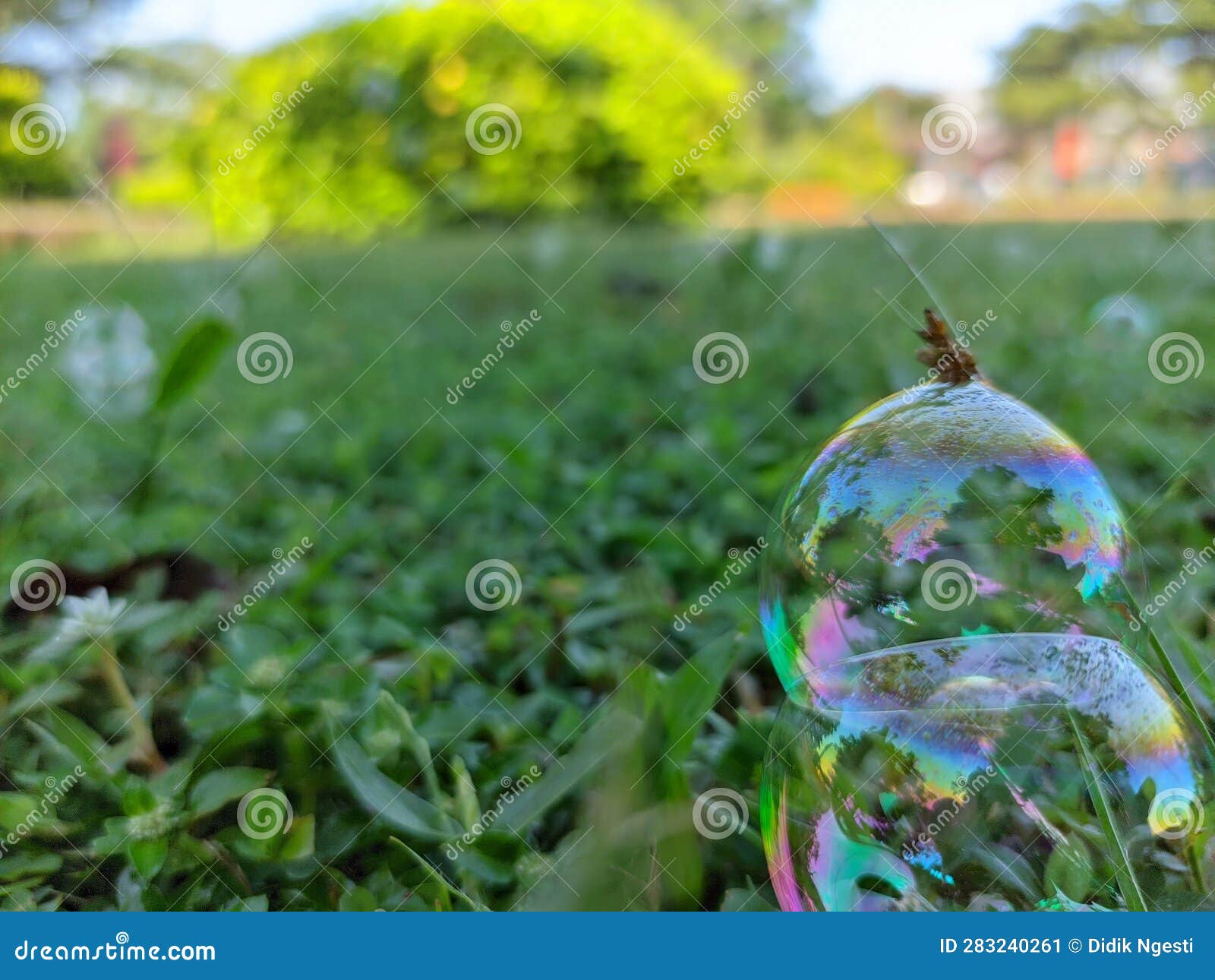 Bubble balon air stock image. Image of double, grass - 283240261