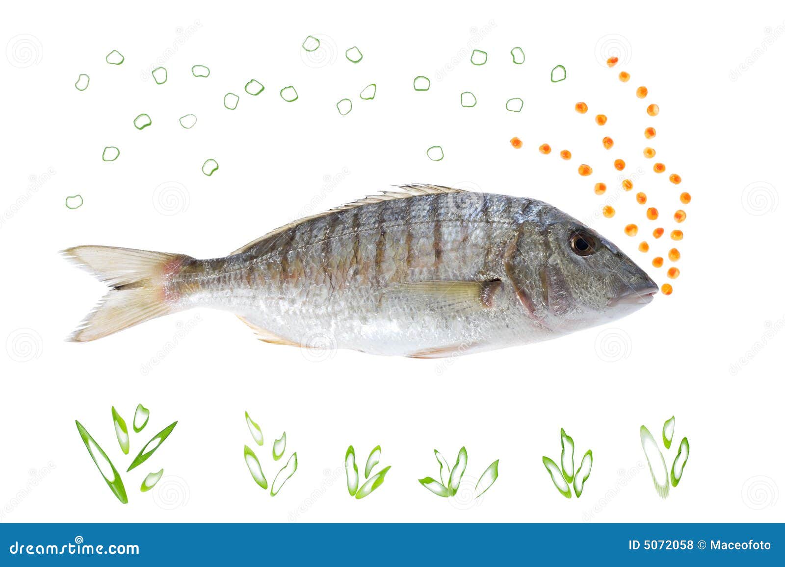 Bubble Fish stock photo. Image of onion, caviar, food - 5072058