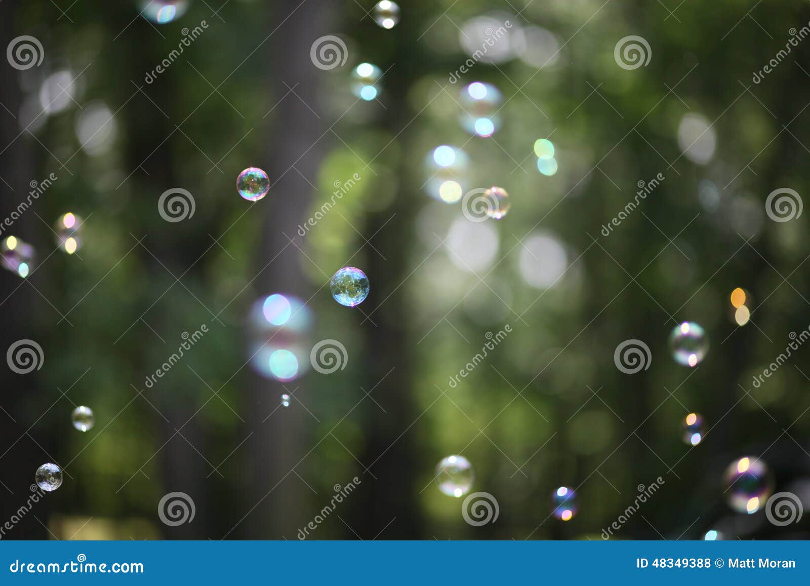 Bubble Forest - Abstract Dreams of Peace Purity and Tranquility Stock ...