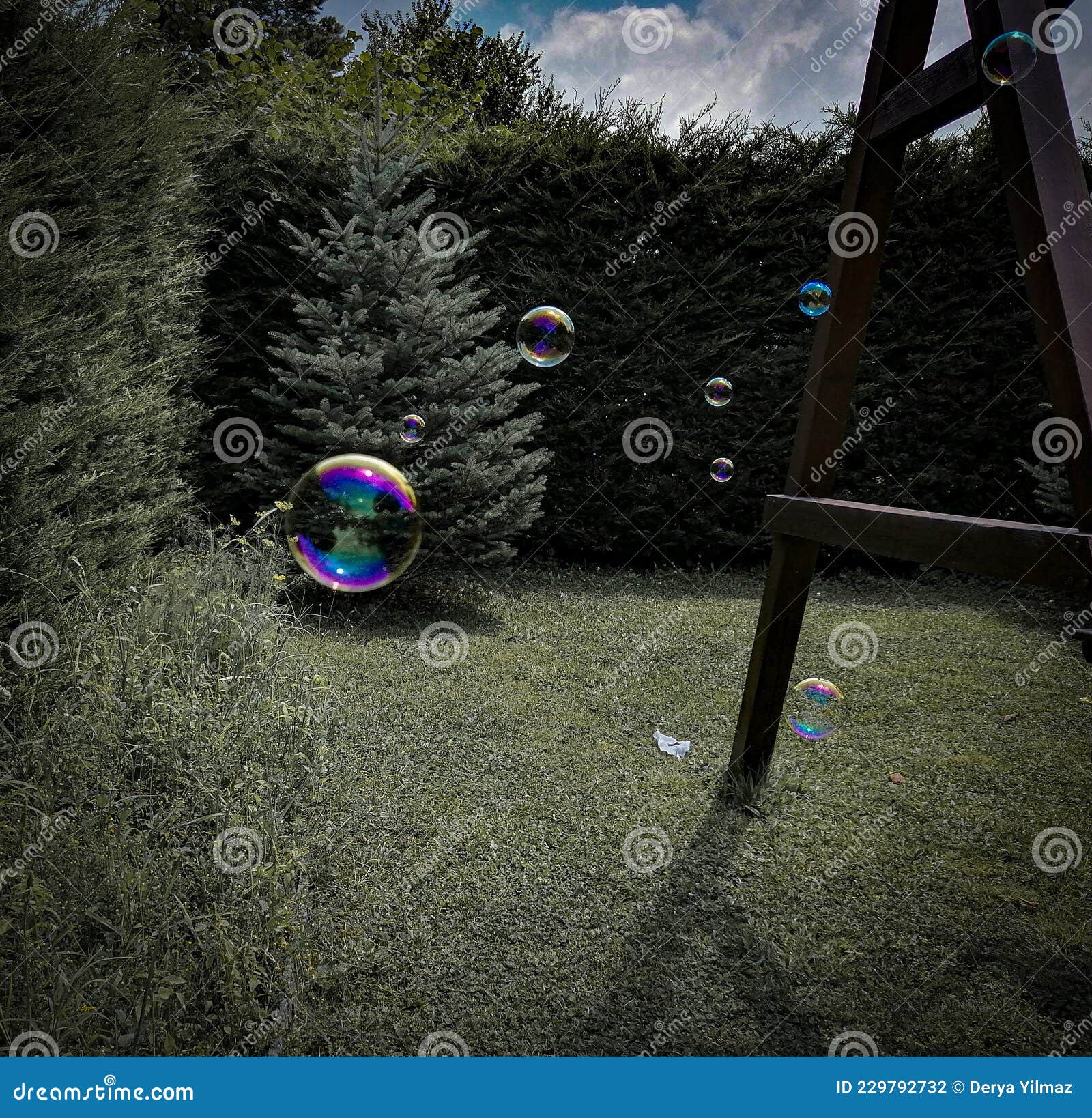 A bubble and nature stock photo. Image of darkness, bubbles - 229792732