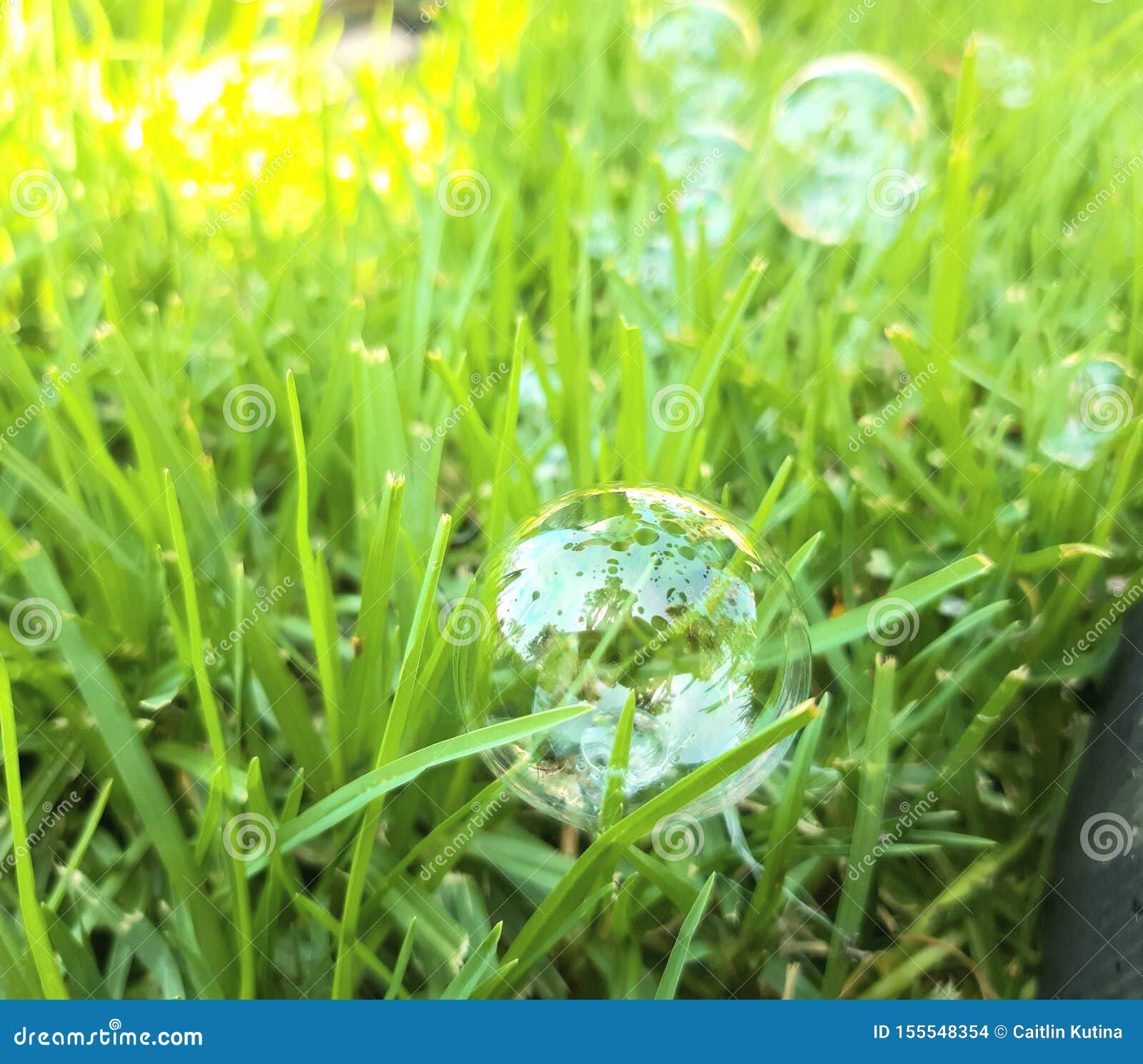 A bubble in nature stock photo. Image of bubbles, field - 155548354