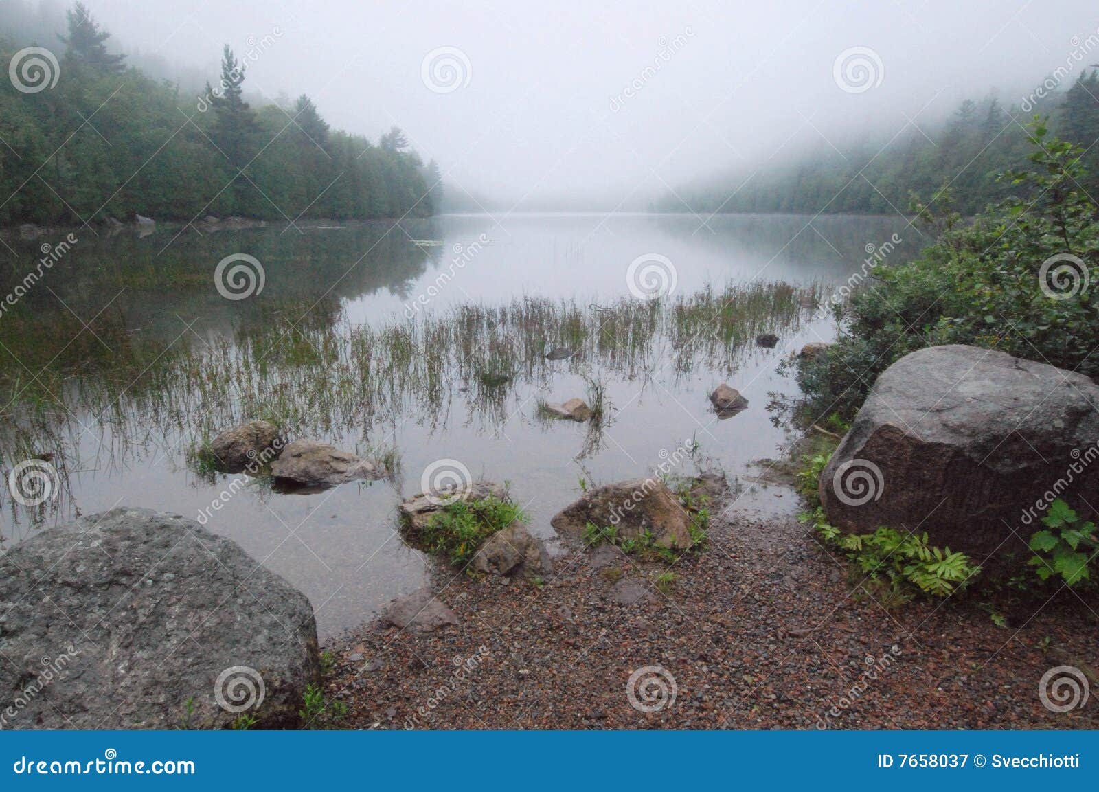 Bubble Pond, Acadia stock image. Image of mount, morning - 7658037