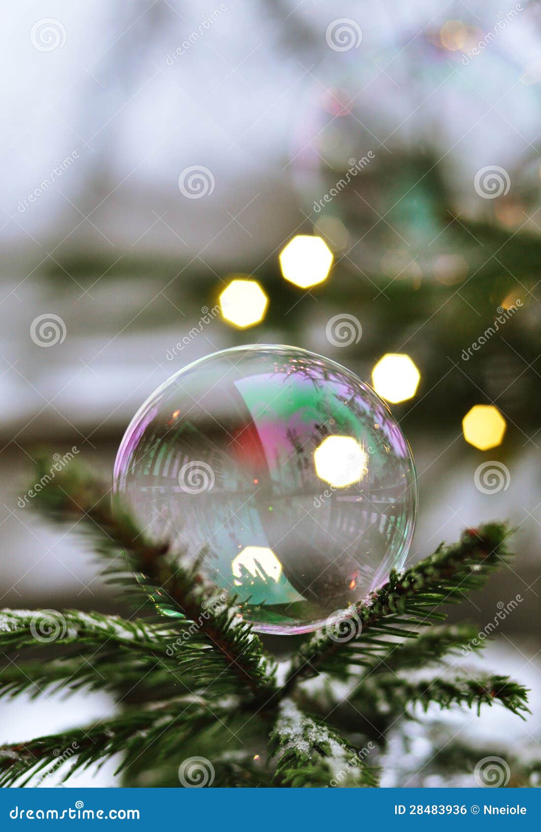 A Bubble Sitting on a Fir-tree Stock Photo - Image of decoration ...