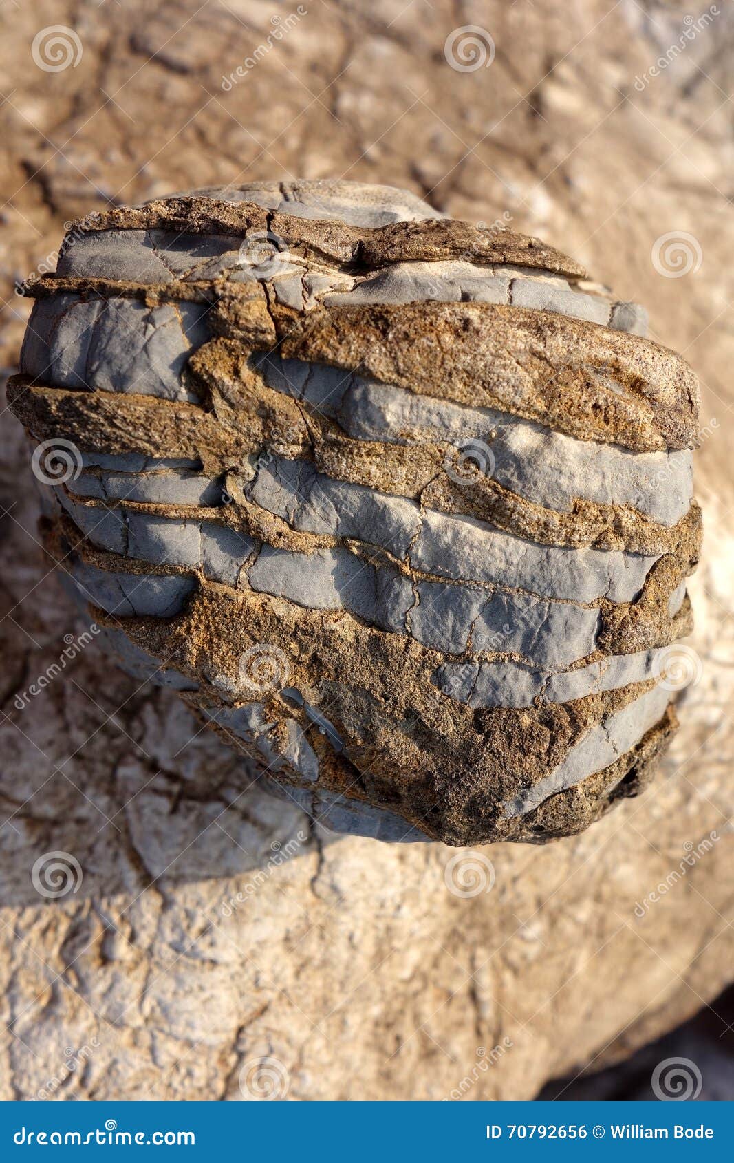 Bubble Stone Texture stock photo. Image of round, liquid - 70792656