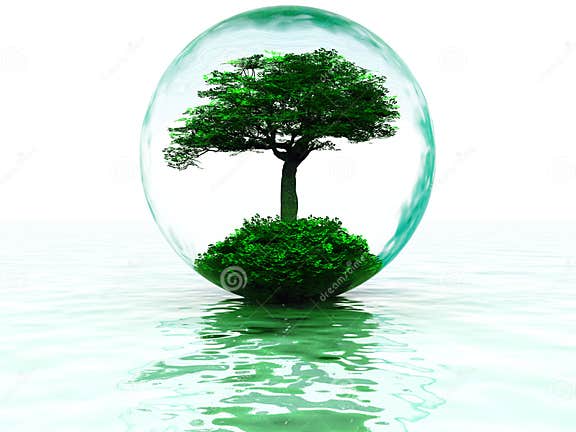 Bubble with tree stock illustration. Illustration of shiny - 8192248