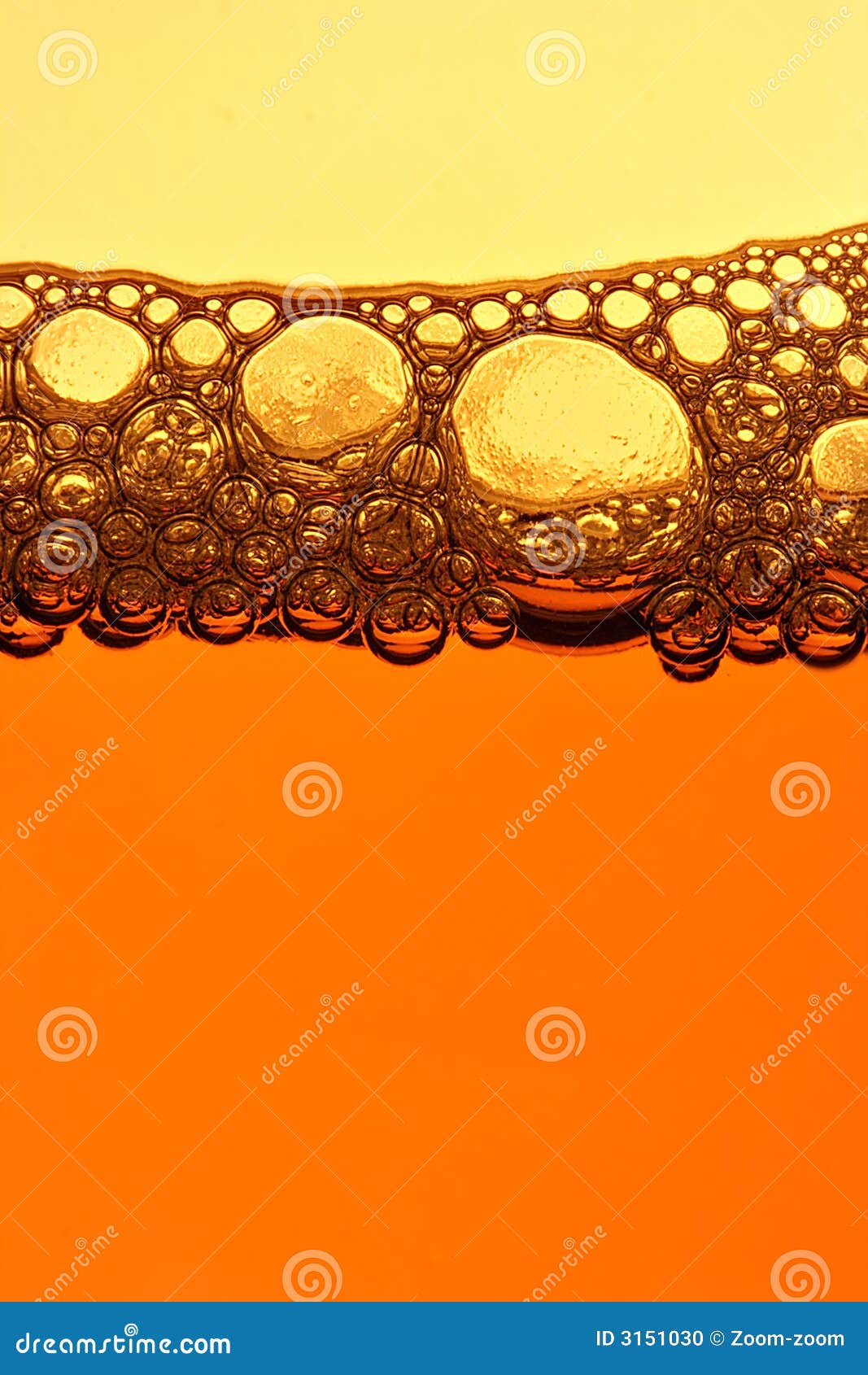 Bubbles stock photo. Image of closeup, macro, booze, brewery - 3151030