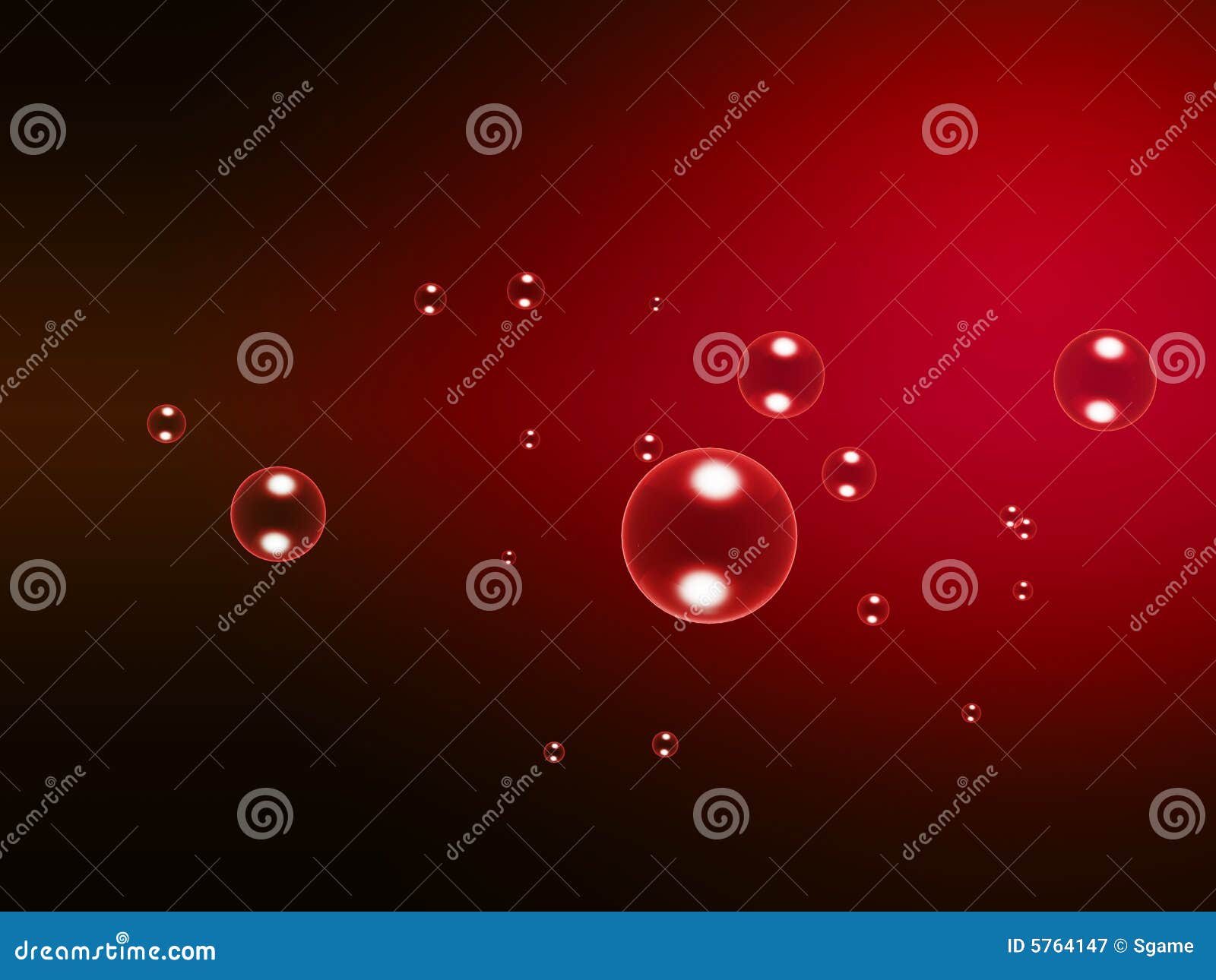 Bubbles Back Picture. Image: 5764147