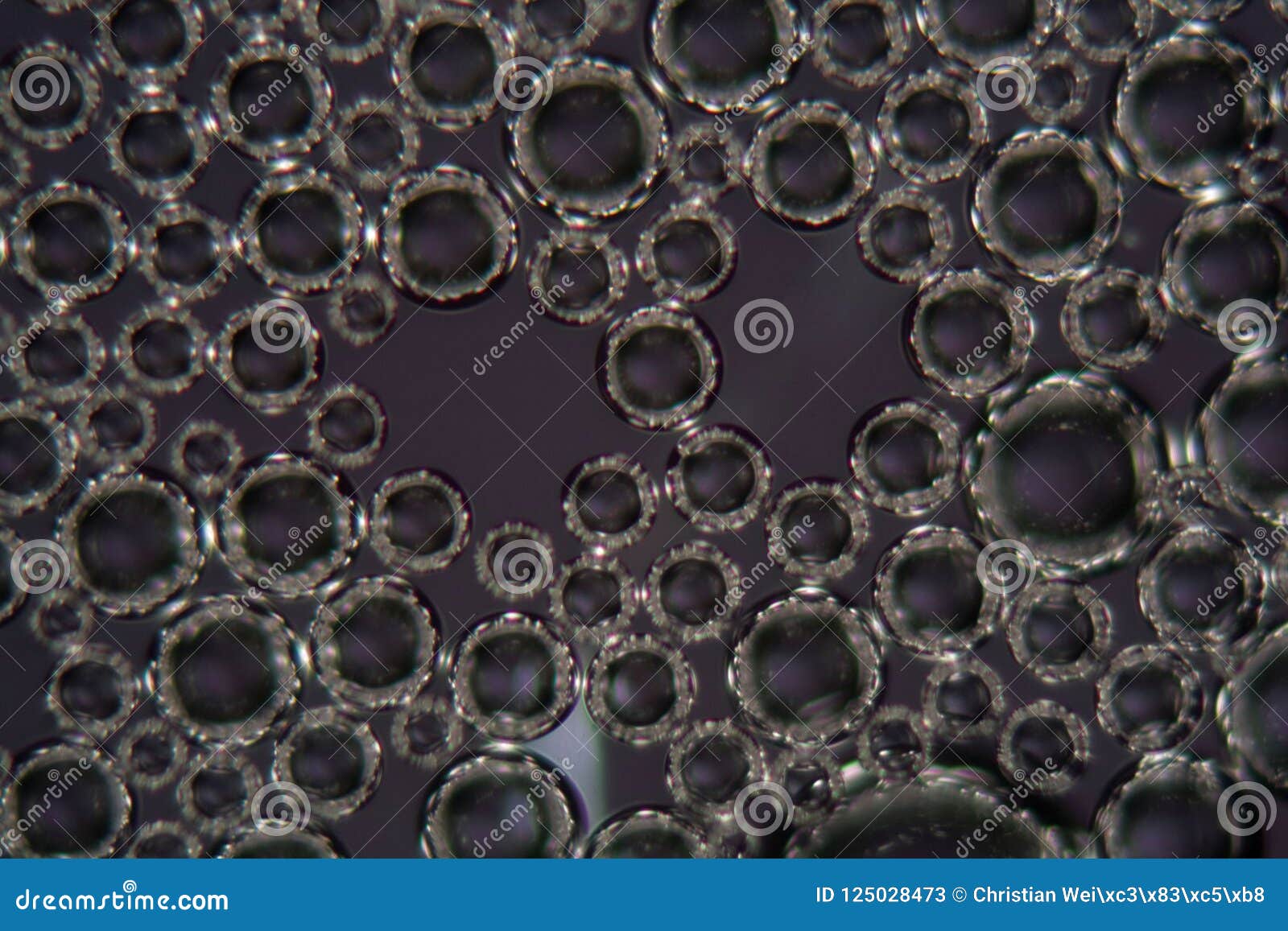 Bubbles of Beer Foam Under a Microscope Stock Image - Image of design ...