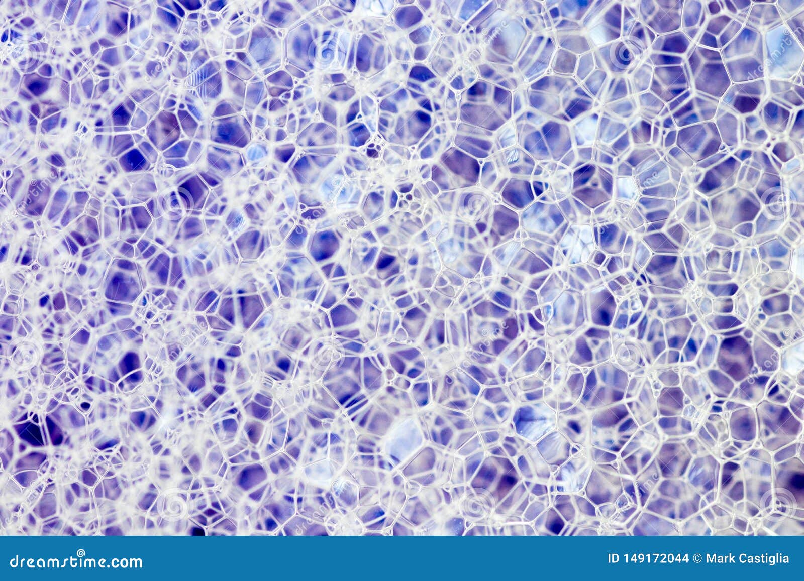 Bubbles and Foam from Soap Suds. Extreme Close Up Stock Photo - Image ...