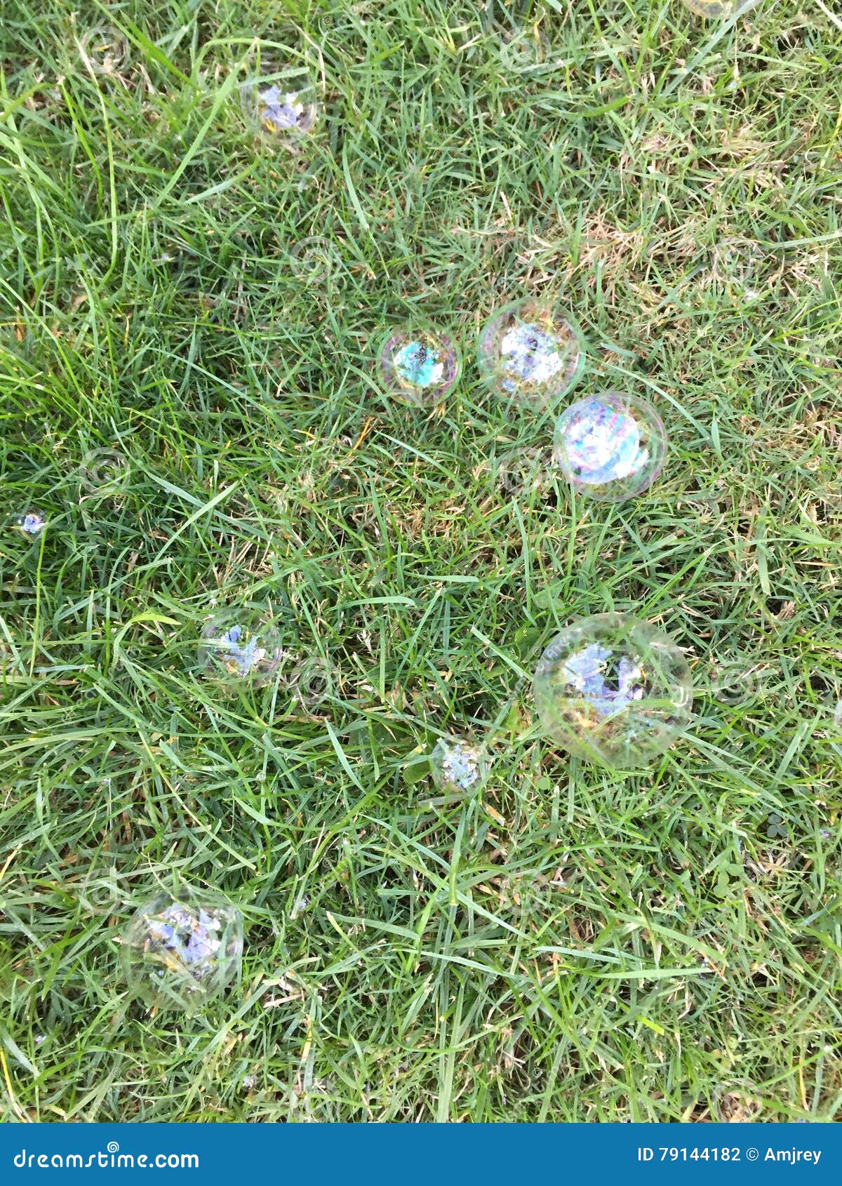 Bubbles on grass stock photo. Image of garden, green - 79144182