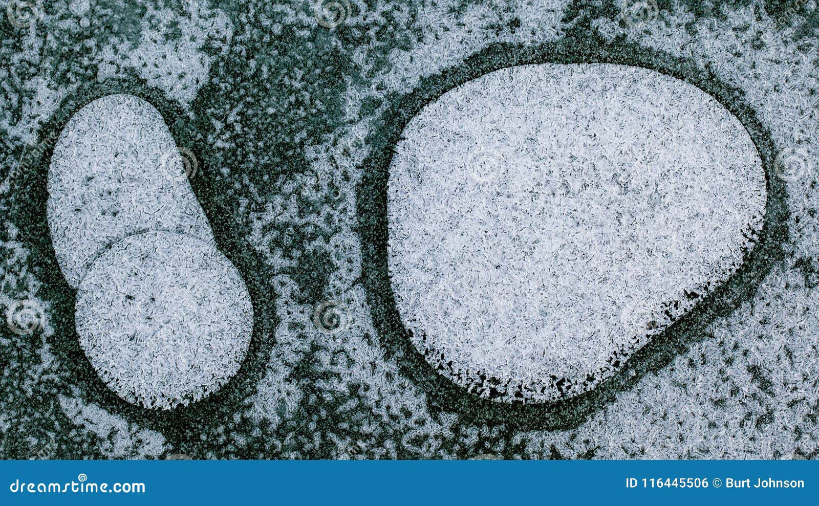 Bubbles in ice stock photo. Image of nature, bright - 116445506