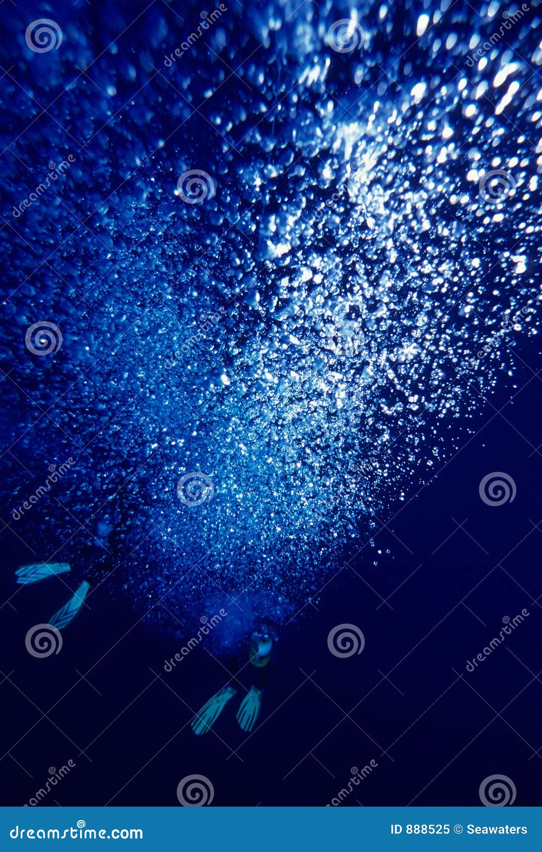 Bubbles n Fins stock image. Image of blue, open, water - 888525