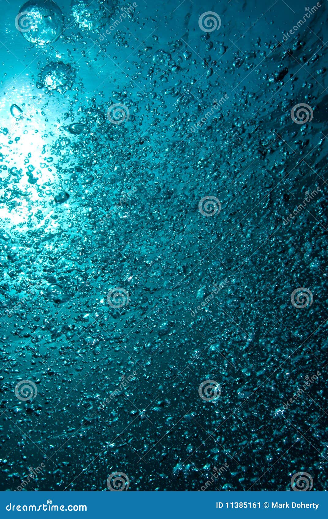 Bubbles in the ocean. stock image. Image of sealife, ocean - 11385161