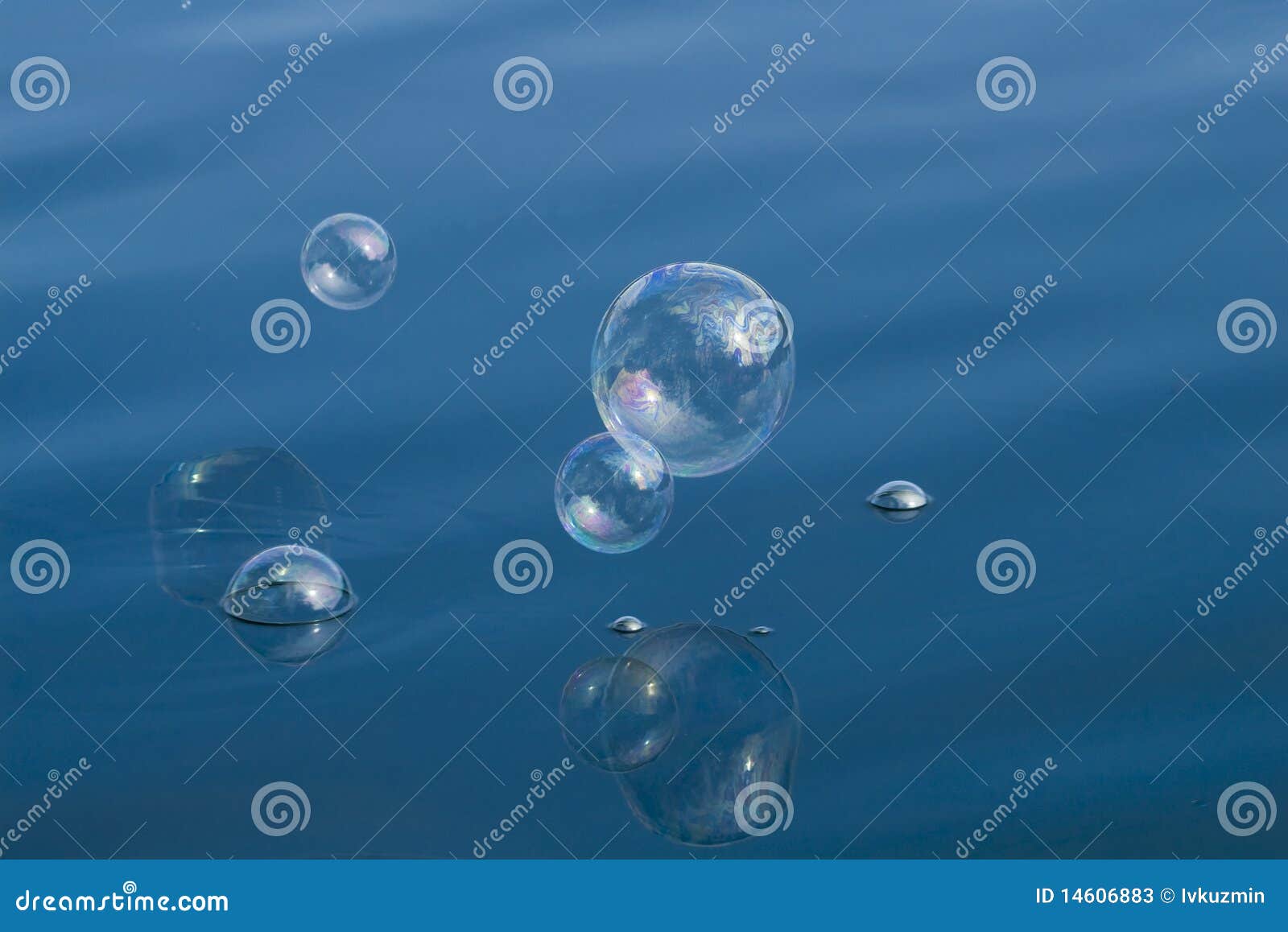 Bubbles over water stock image. Image of drop, pond, organism - 14606883
