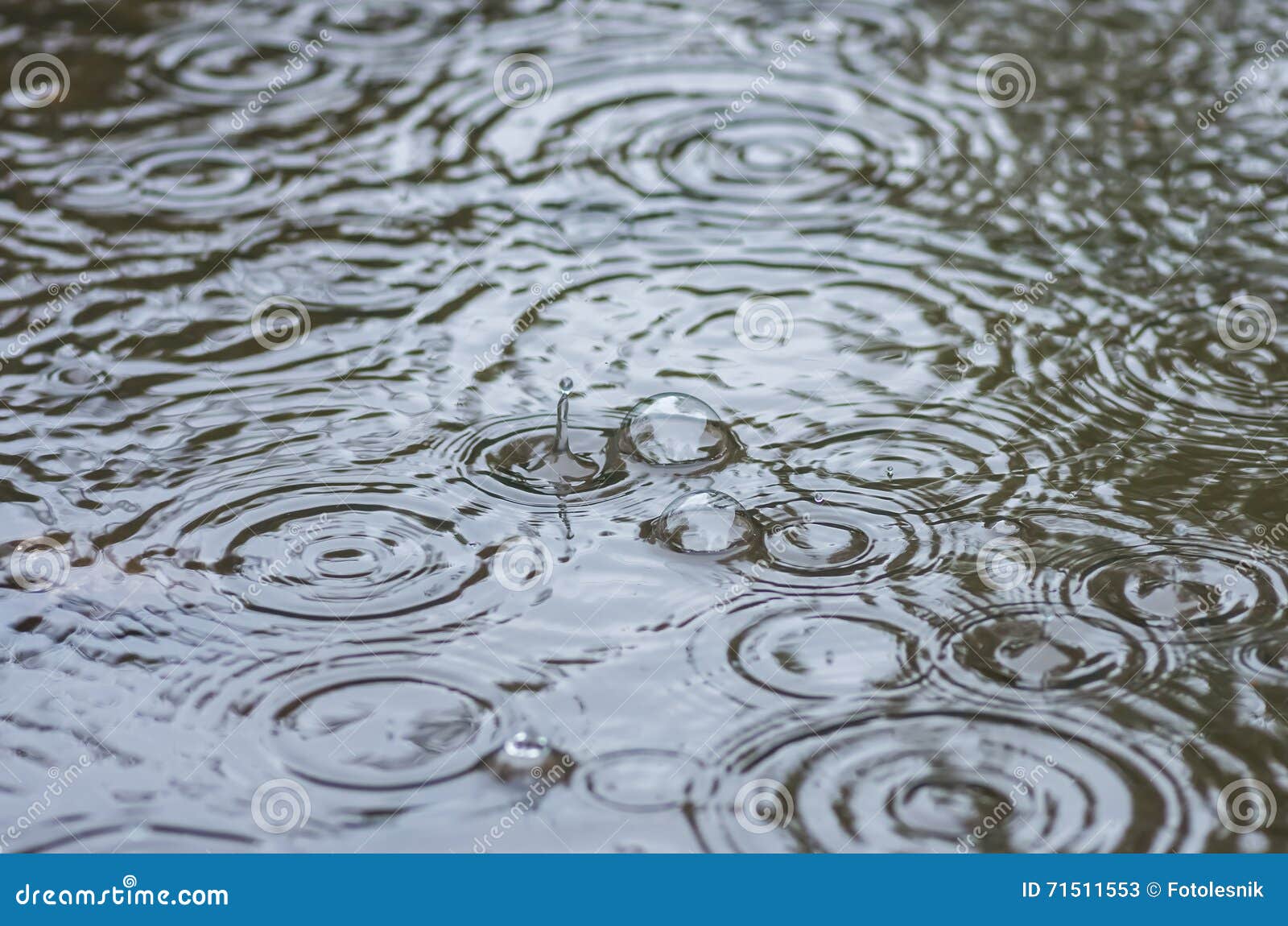 Bubbles from the Rain in a Puddle Stock Image - Image of abstract ...