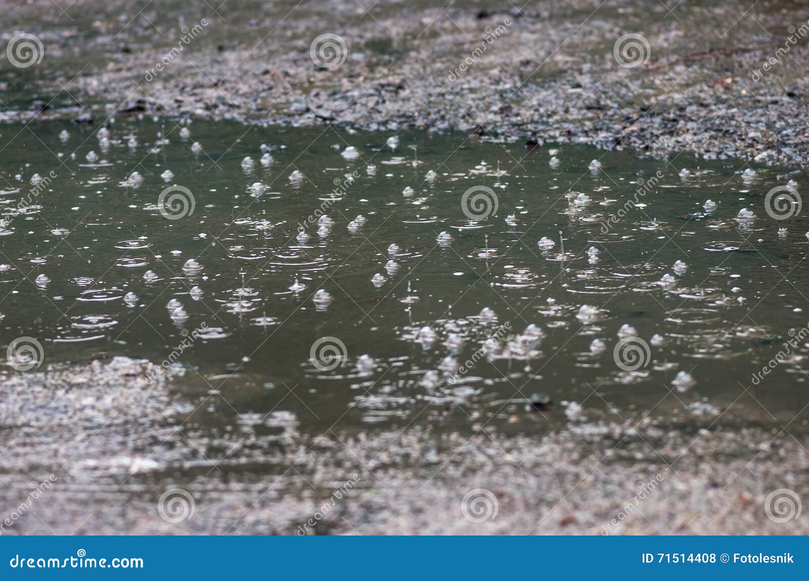 Bubbles from the Rain in a Puddle Stock Photo - Image of bubble, river ...