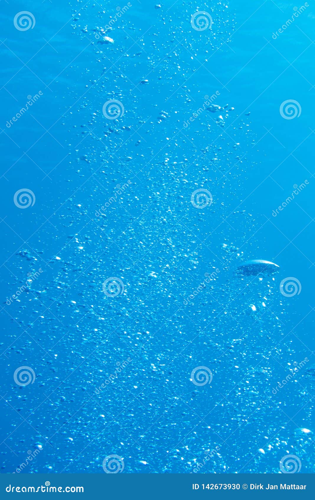 Bubbles from a Scuba diver stock photo. Image of nature - 142673930