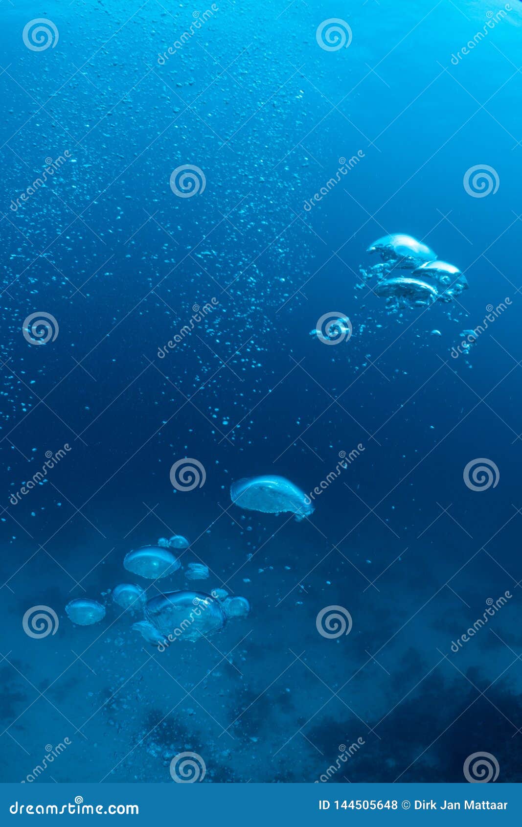 Bubbles from a Scuba diver stock photo. Image of natural - 144505648