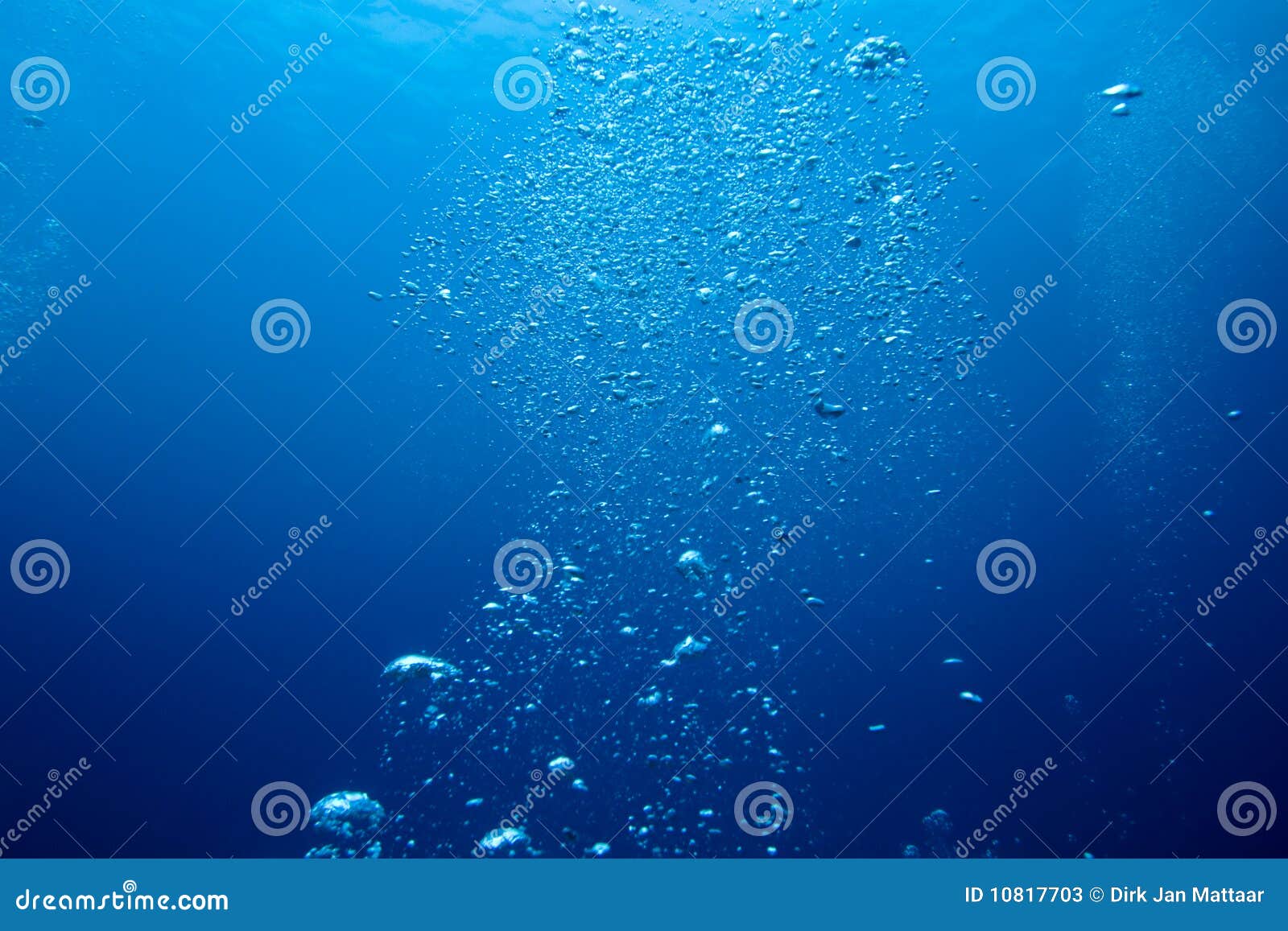 Bubbles in the sea stock image. Image of bubbles, rising - 10817703