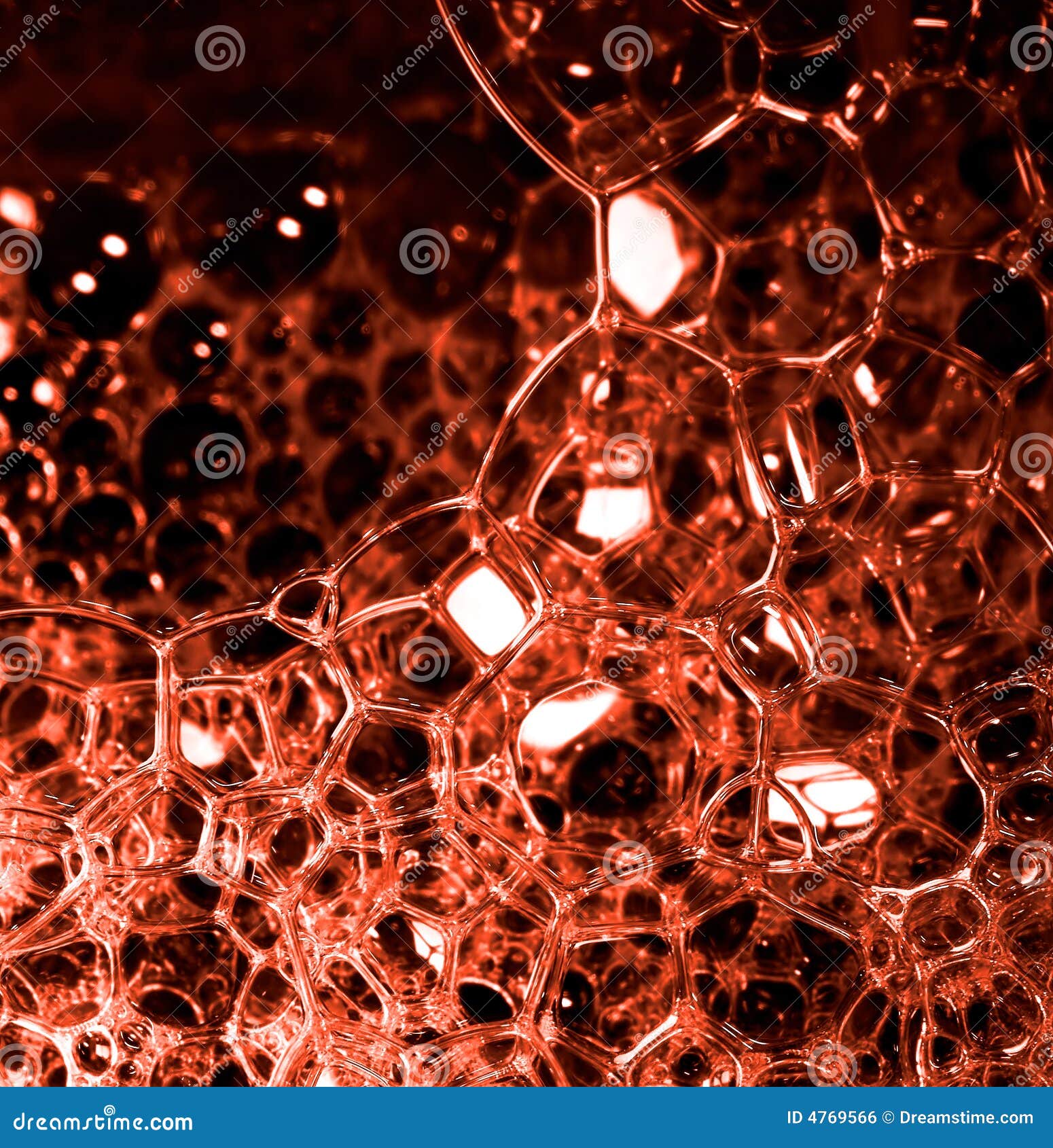 Bubbles structure stock photo. Image of lather, pattern - 4769566