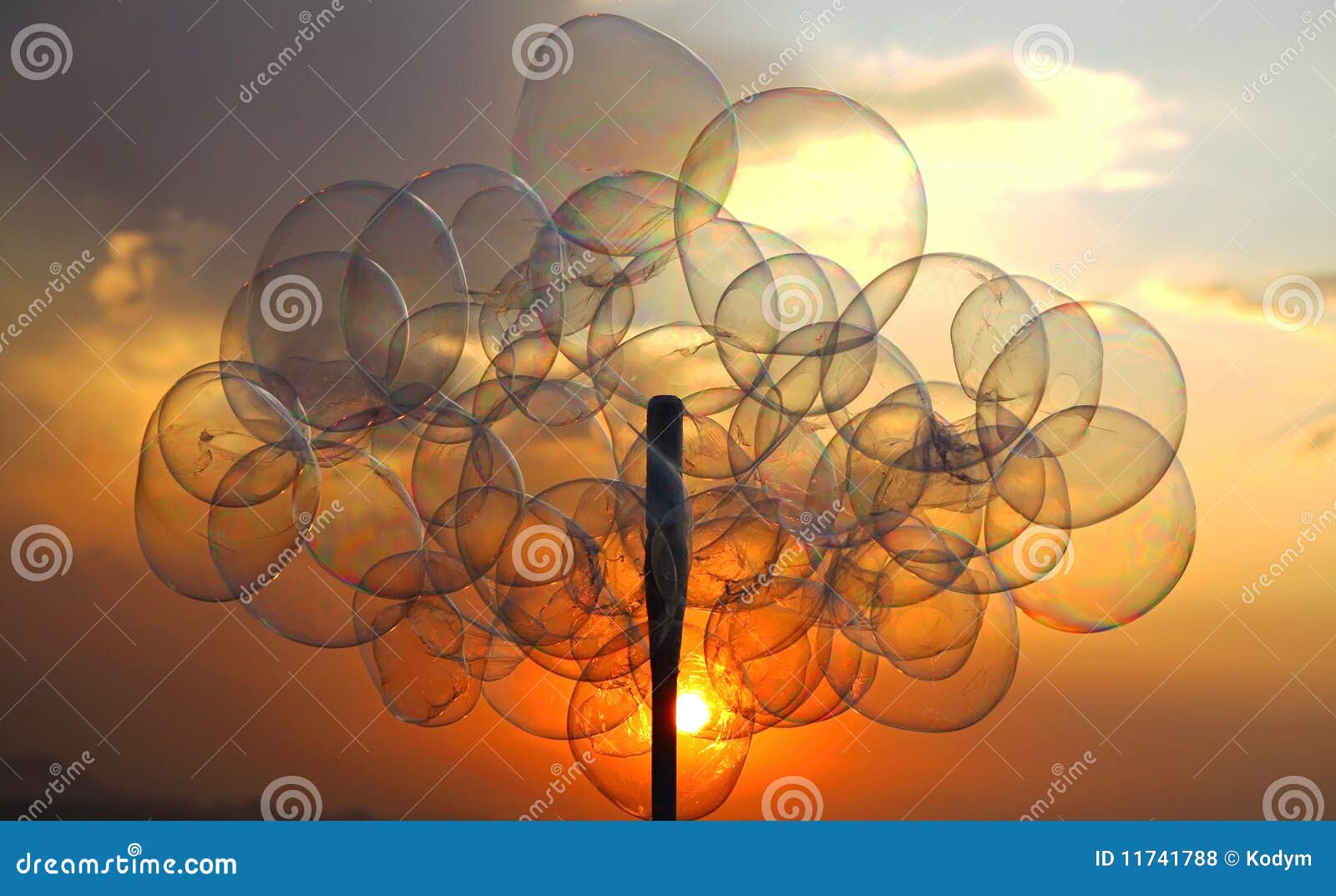 Bubbles during sunset stock photo. Image of clear, dark - 11741788