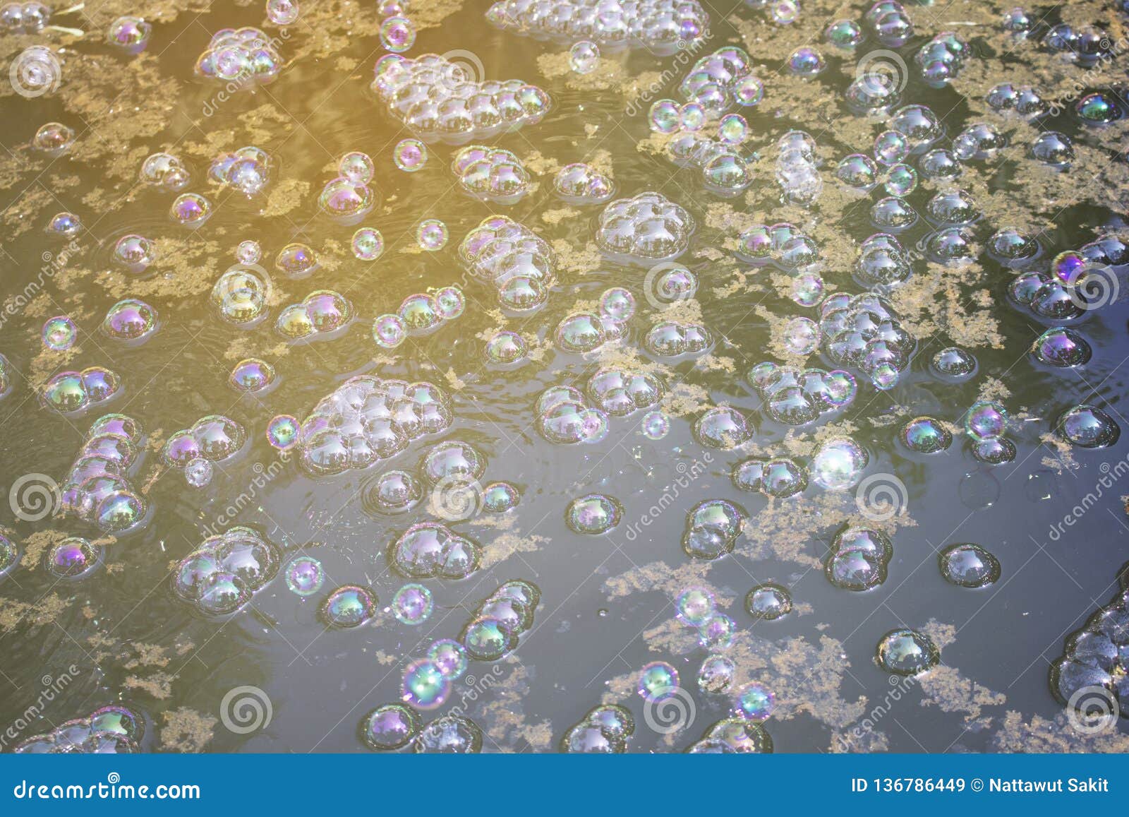 Bubbles on the Surface of Water Stock Image - Image of container ...