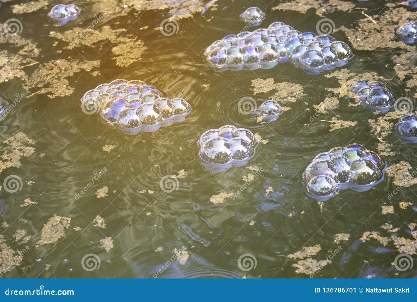 Bubbles on the Surface of Water Stock Image - Image of concept ...