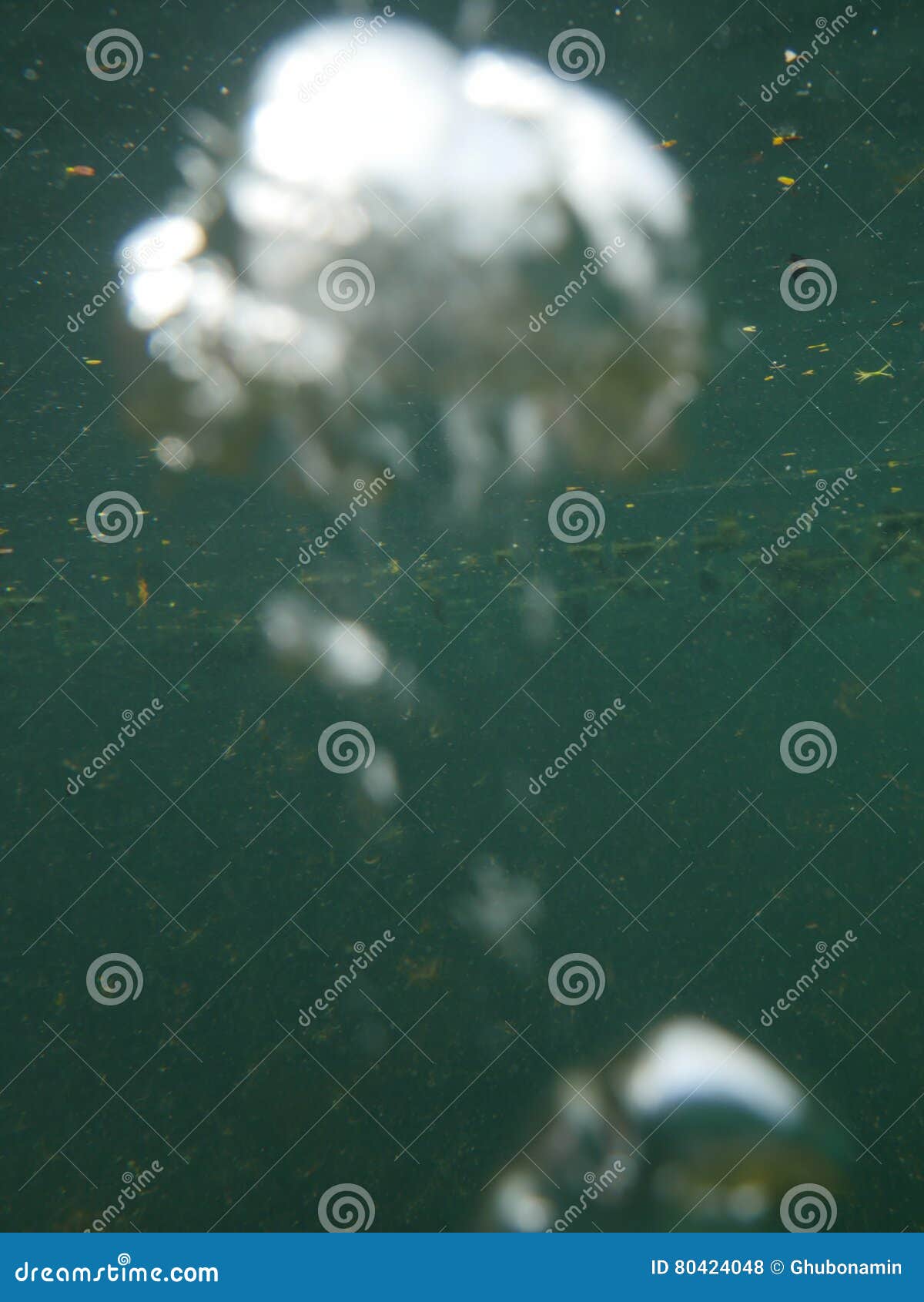 Bubbles stock photo. Image of bright, floating, depth - 80424048