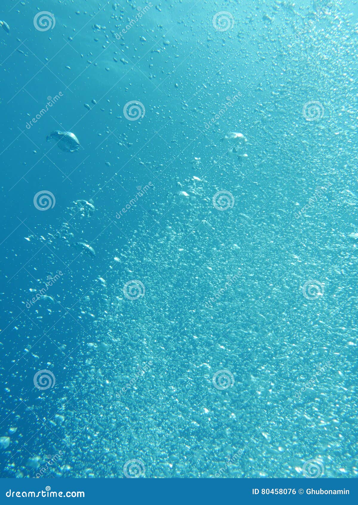 Bubbles stock photo. Image of fish, liquid, indonesia - 80458076