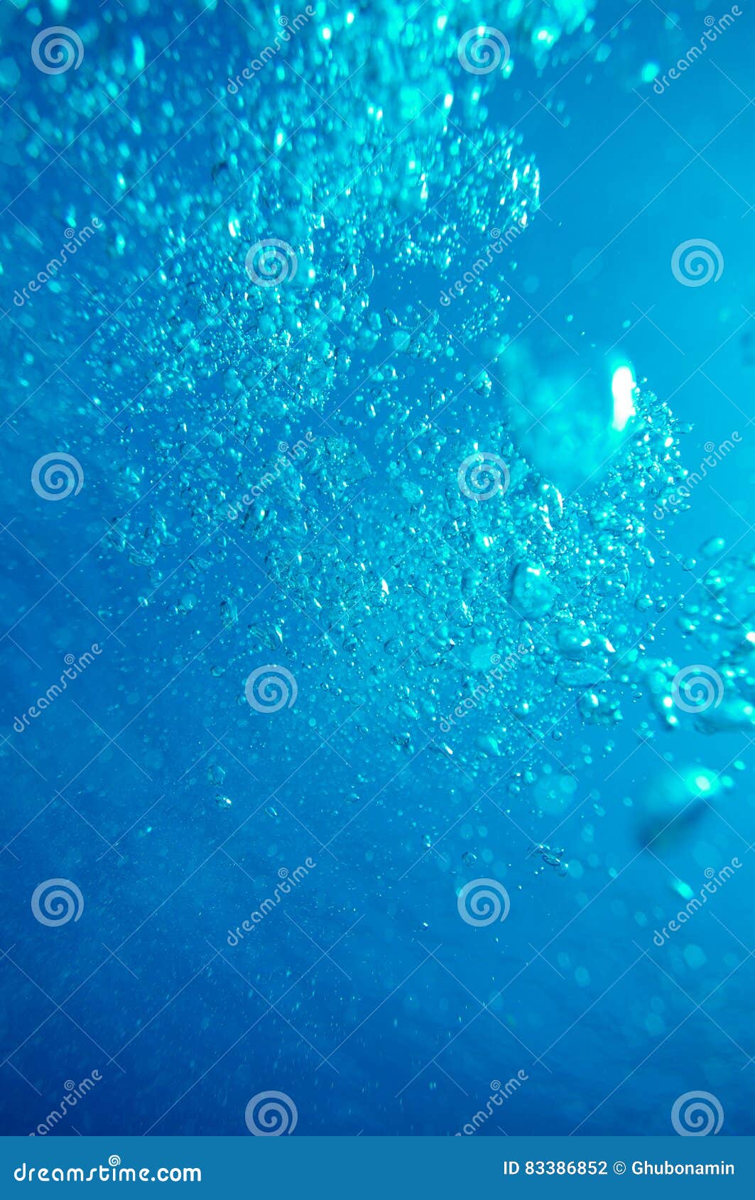 Bubbles stock photo. Image of deep, fish, bright, hobby - 83386852