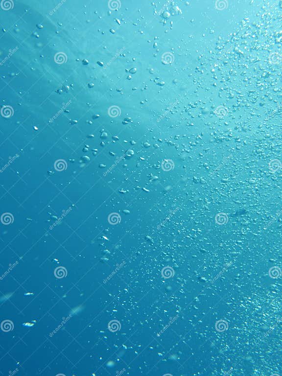 Bubbles stock photo. Image of depth, nature, clear, diving - 95287834