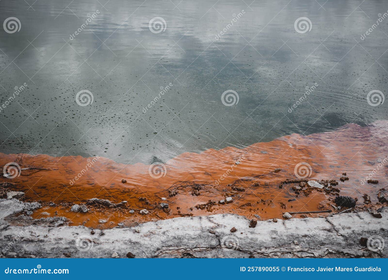 Bubbles in the Volcanic Water of Rotorua Stock Image - Image of nature ...
