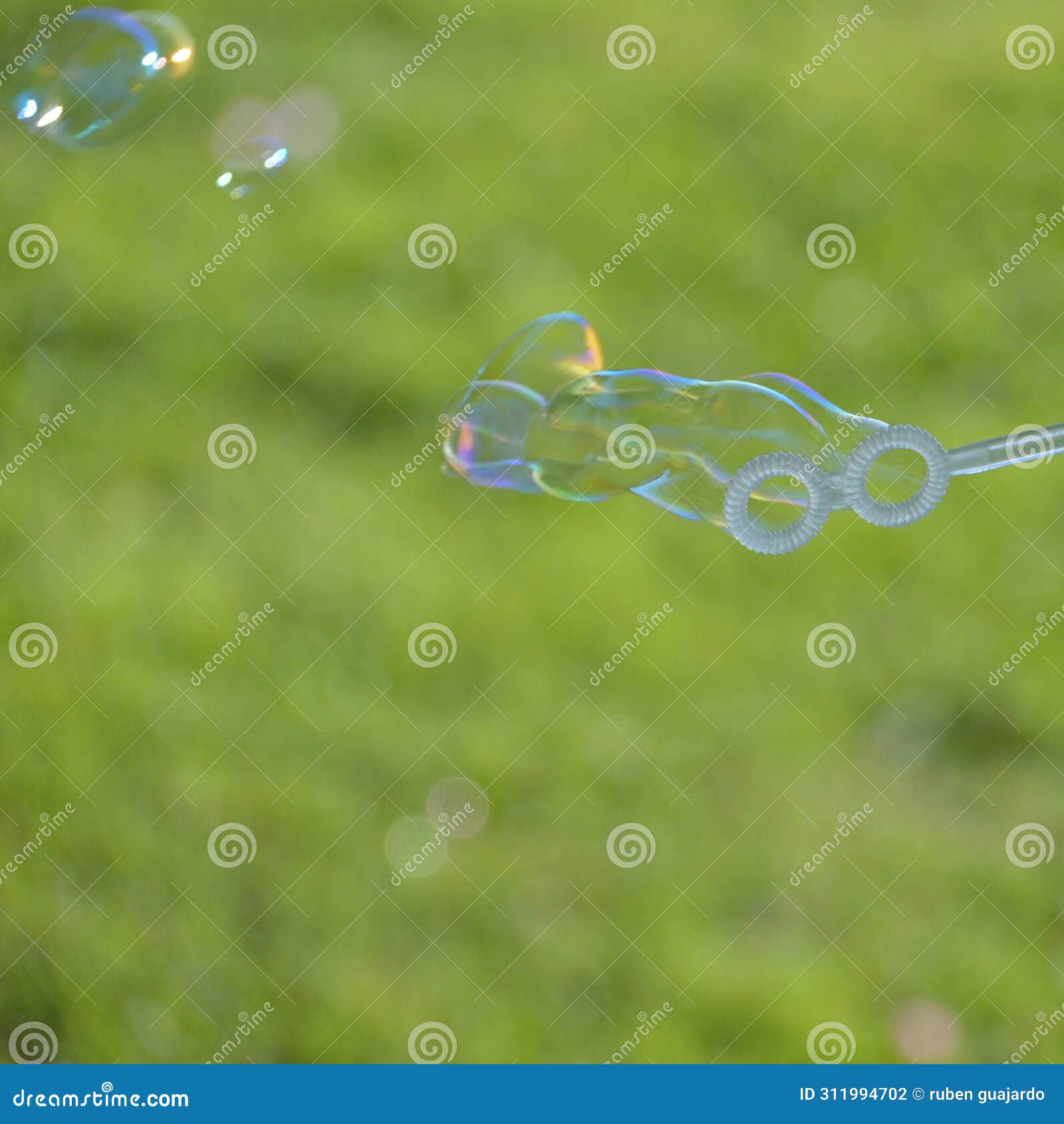 Bubbles in the wind stock photo. Image of wind, bubble - 311994702
