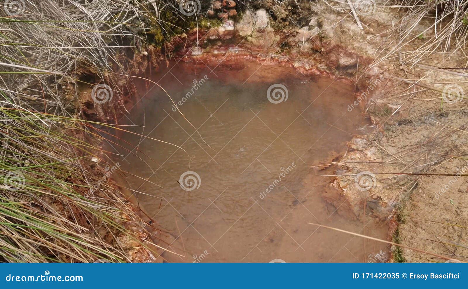 Bubbling Boiling Water Volcanic Geothermal Hot Spring Stock Image ...
