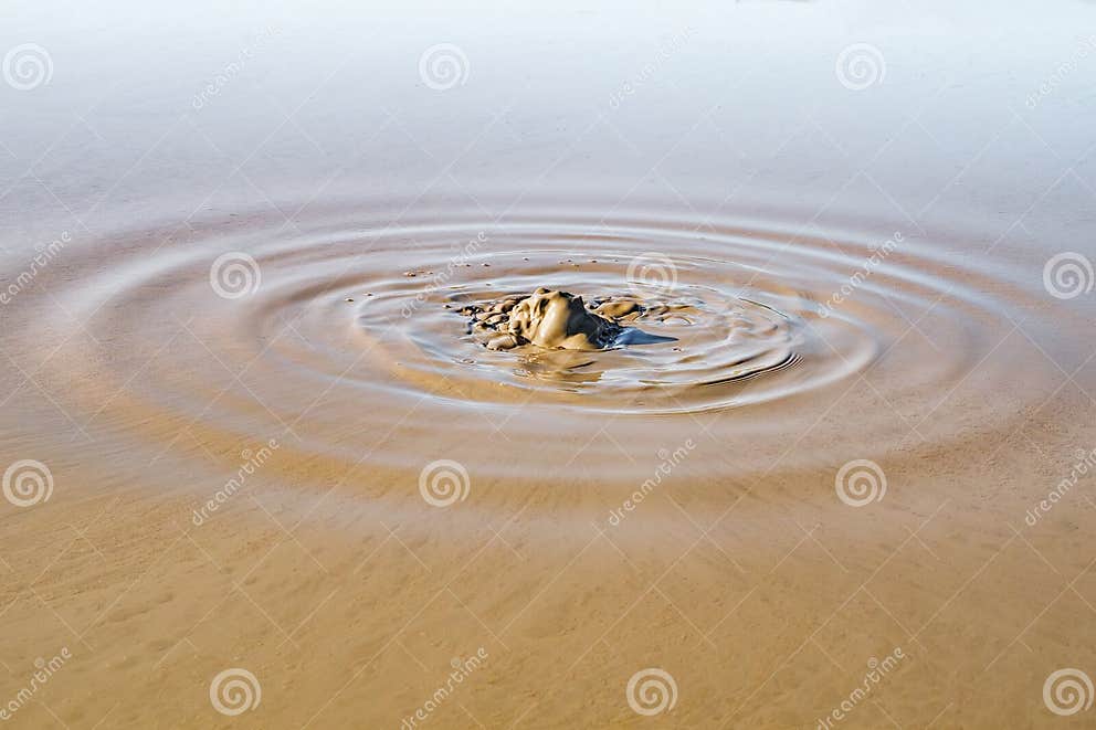 Bubbling Escaping Gas on Surface of Mud Lake Stock Image - Image of ...