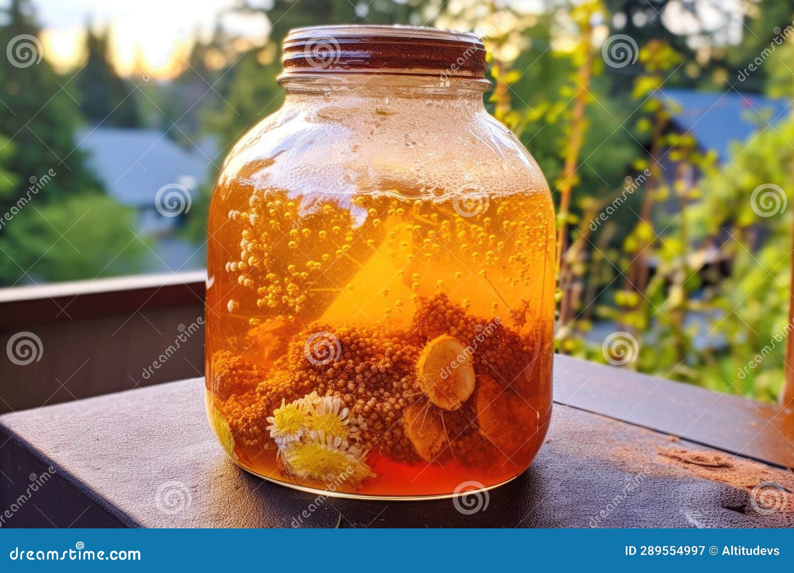 Bubbling Mead Mixture in a Fermentation Jar Outdoors Stock Image ...